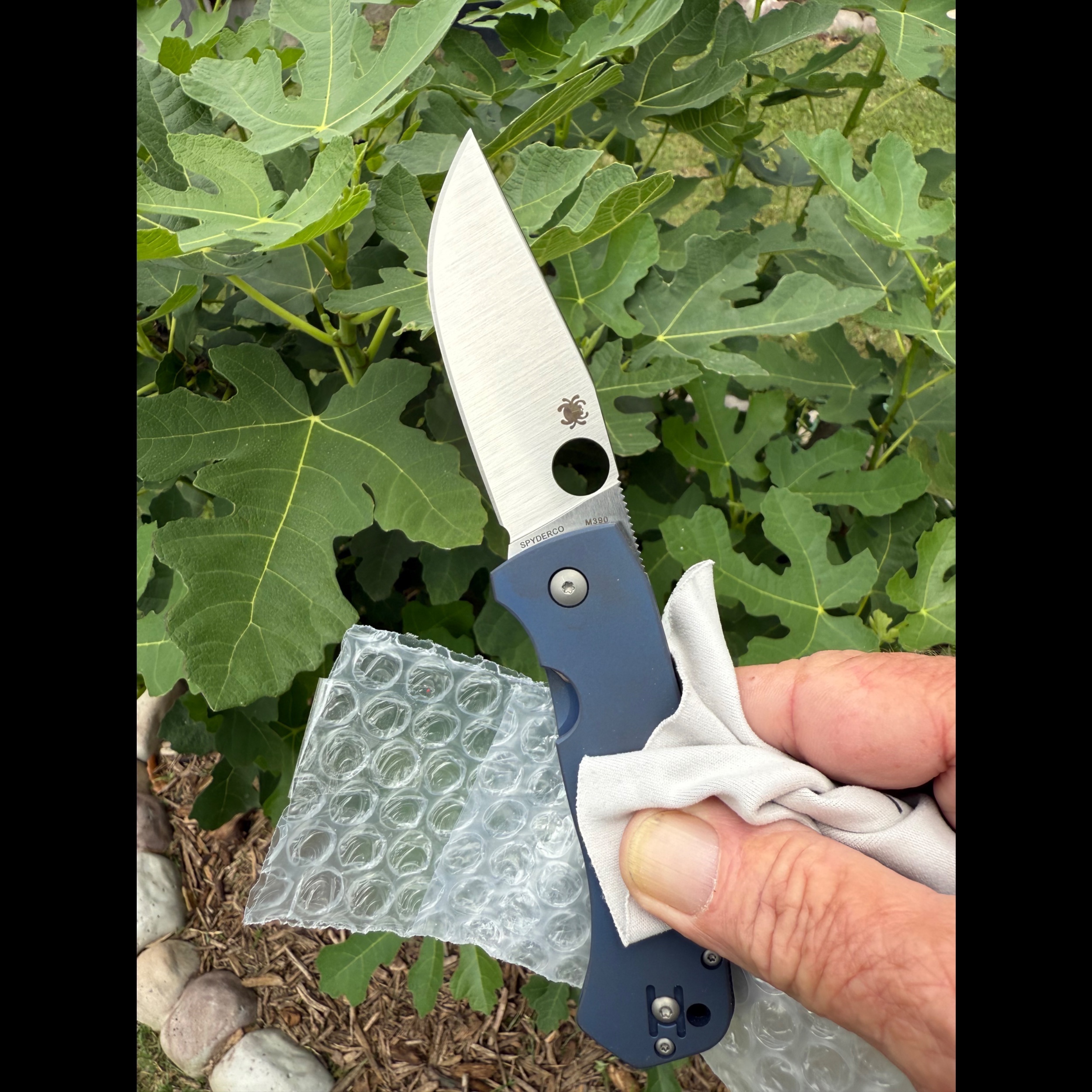 Bladebinge - NEW! REDUCED PRICE! SPYDERCO EXCLUSIVE SLYSZ BOWIE FOLDER ...