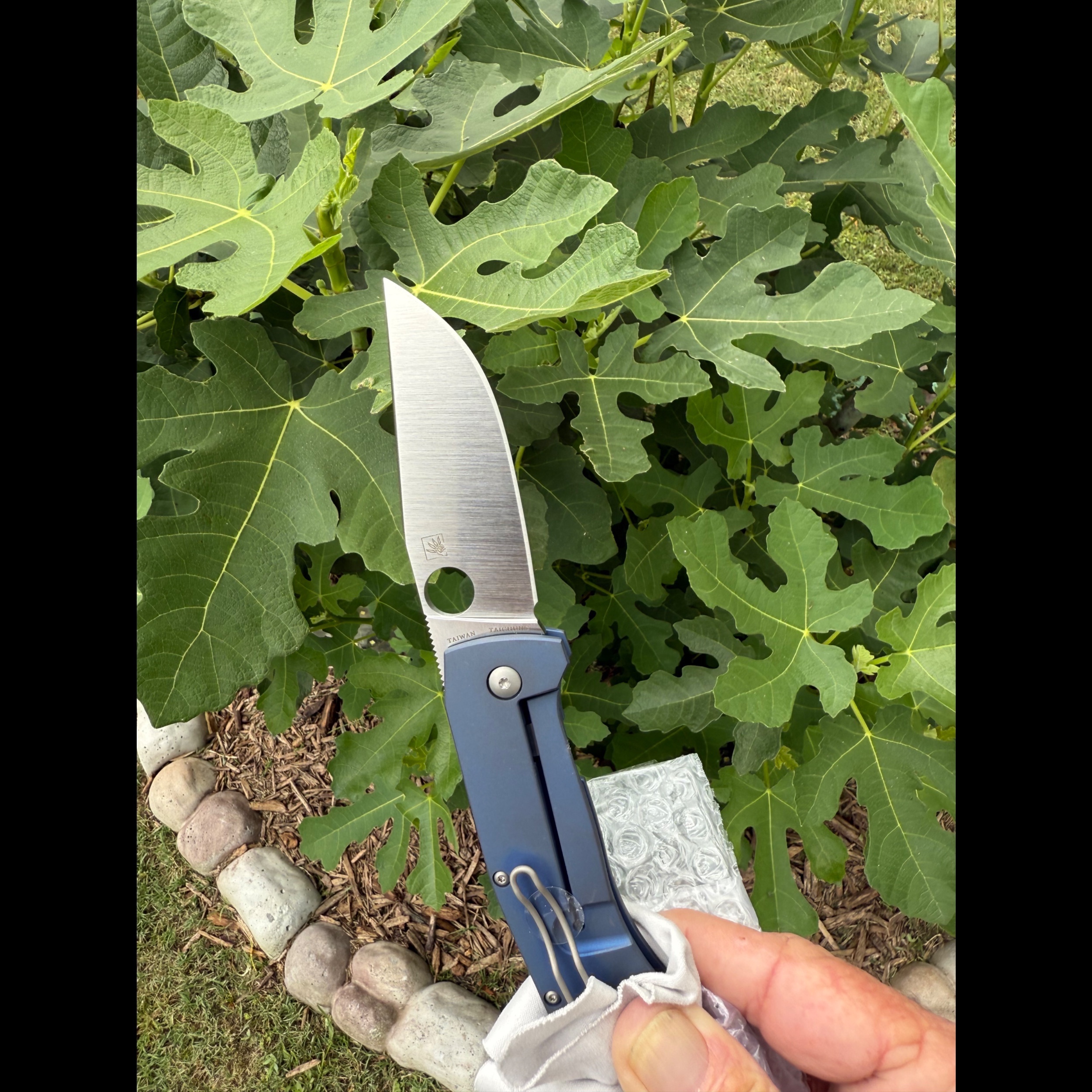 Bladebinge - NEW! REDUCED PRICE! SPYDERCO EXCLUSIVE SLYSZ BOWIE FOLDER ...
