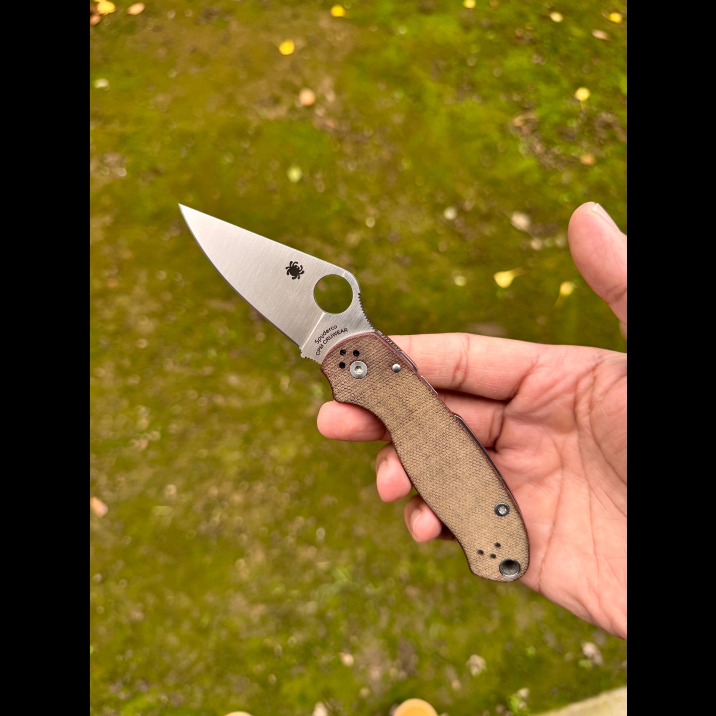 Bladebinge - Spyderco Para 3 CruCarta!!!