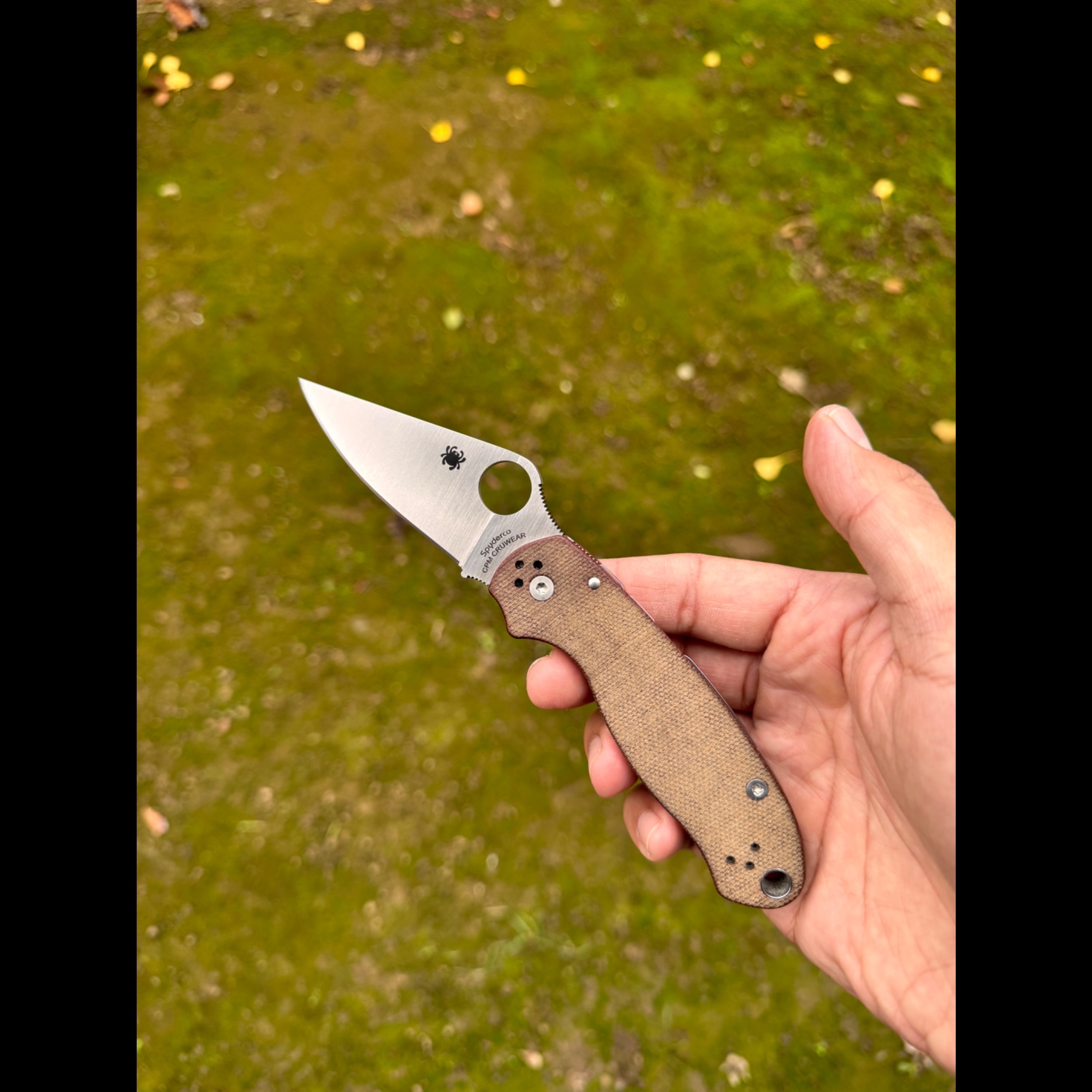Bladebinge - Spyderco Para 3 CruCarta!!!