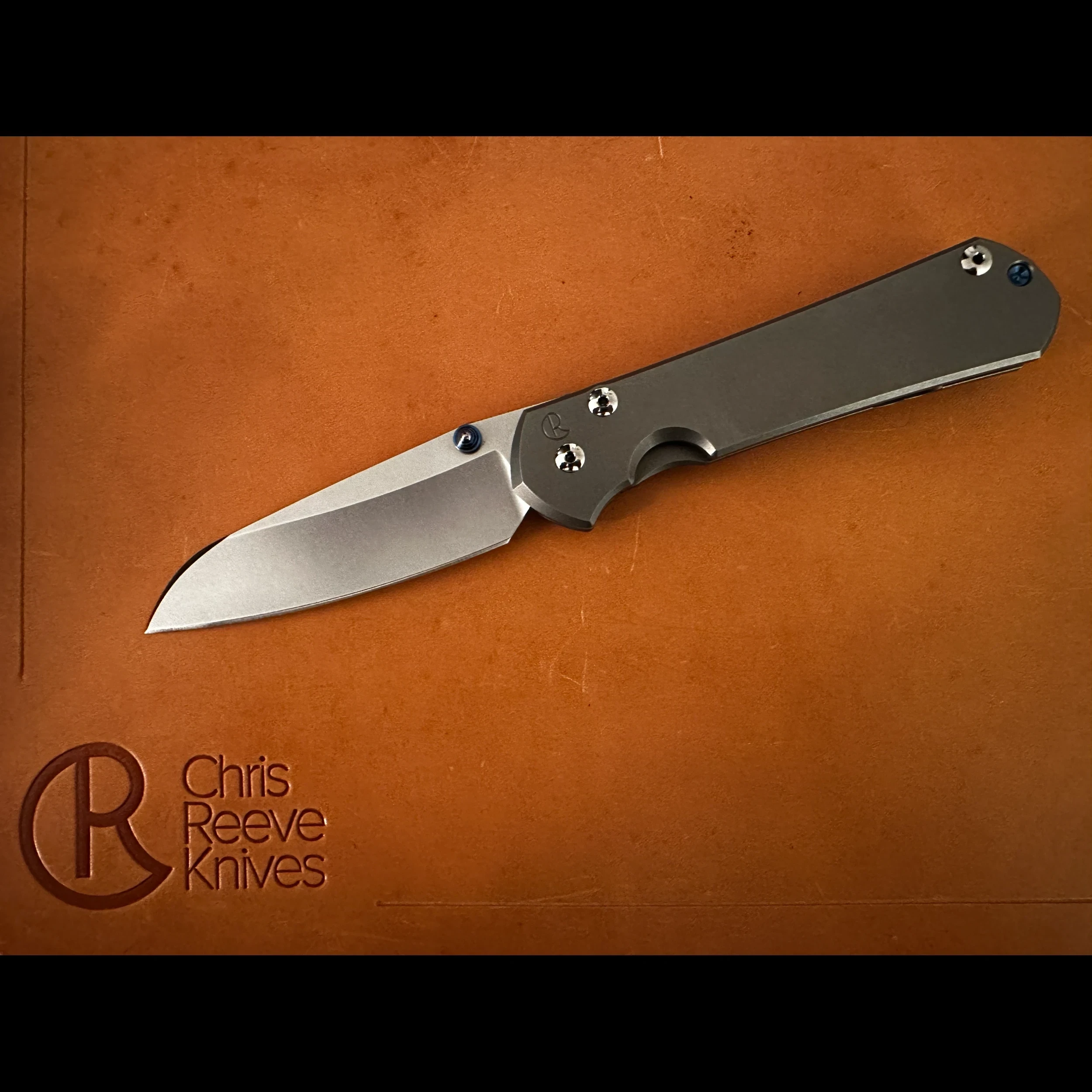 Bladebinge - Chris Reeve Large Sebenza 31 Plain - Glass Blasted ...