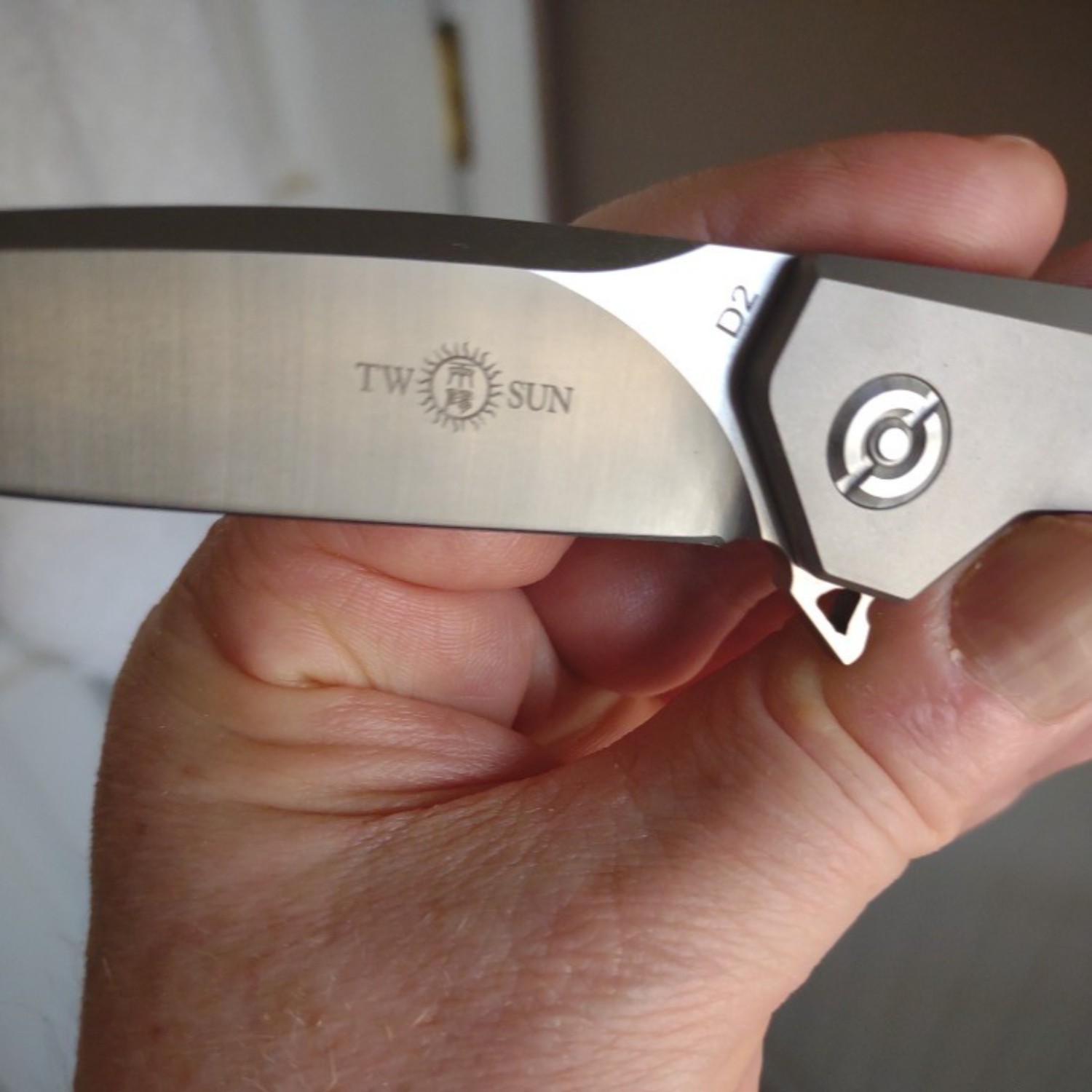 Bladebinge - Twosun tS21 pocket knife,D2 steel,titanium handle with a ...