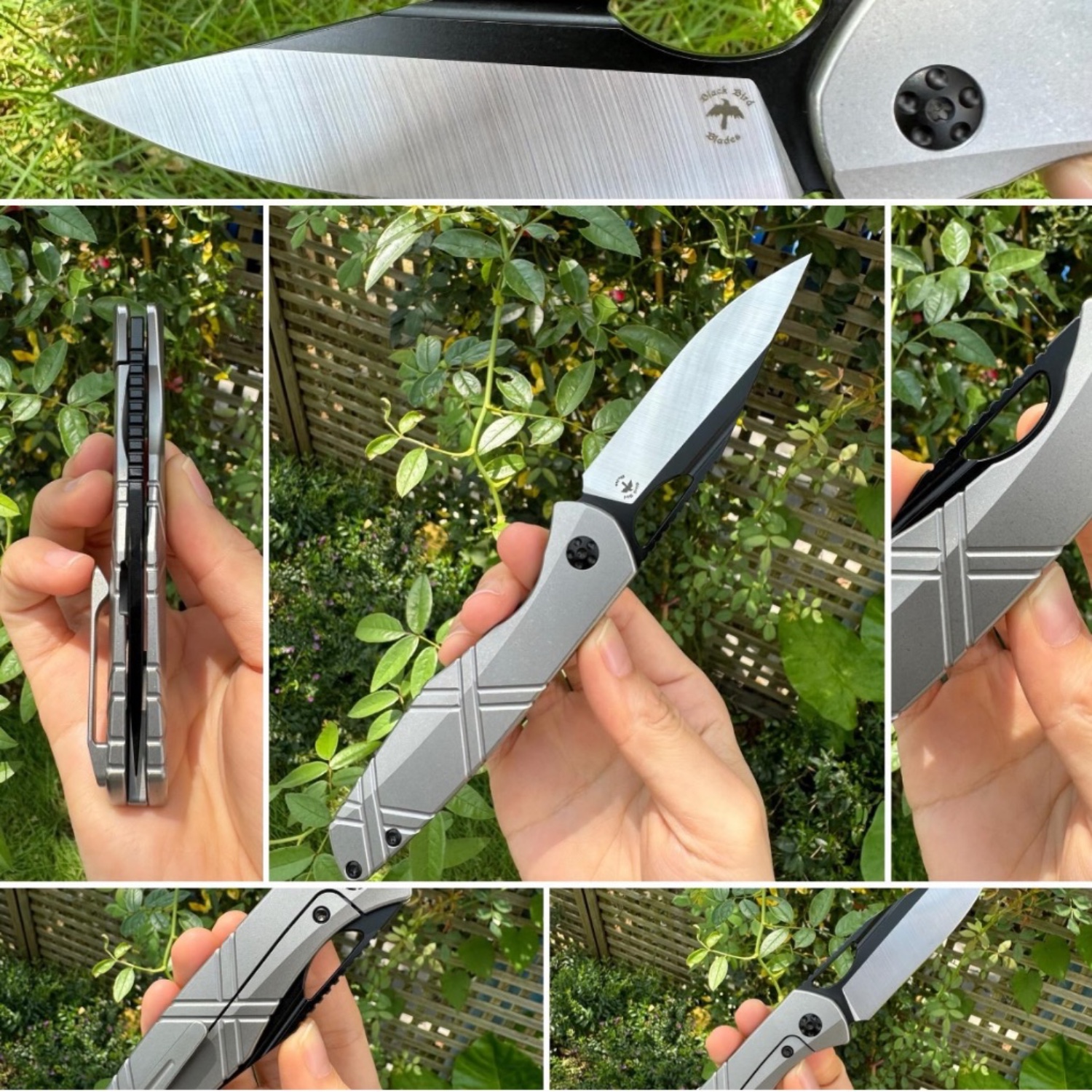 Bladebinge - Black Bird Blades Grackle