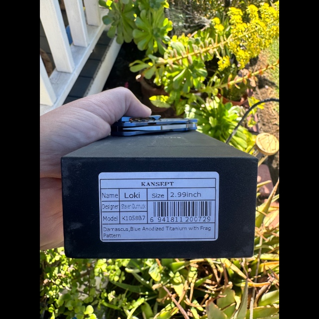 Bladebinge - KANSEPT LOKI