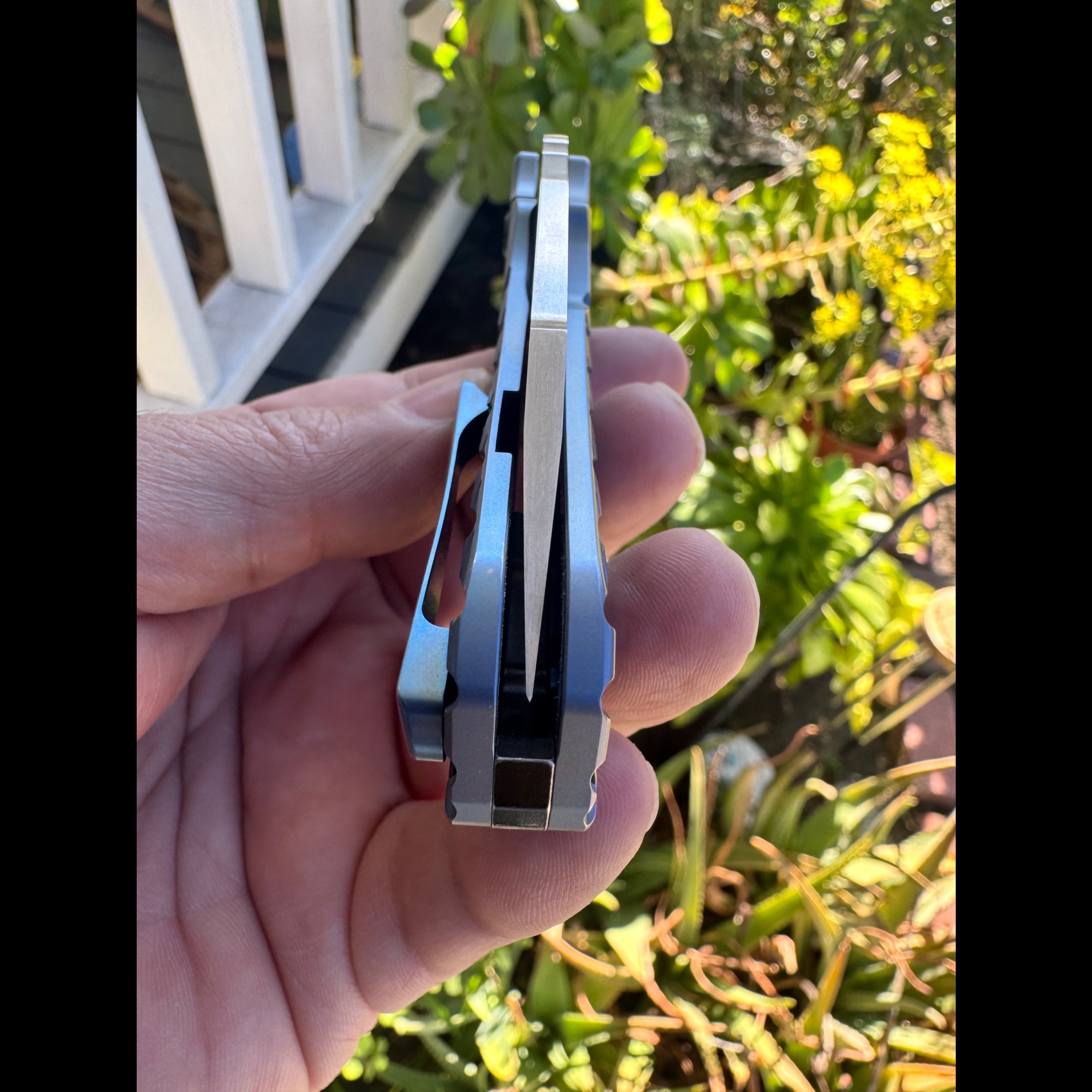 Bladebinge - KANSEPT LOKI