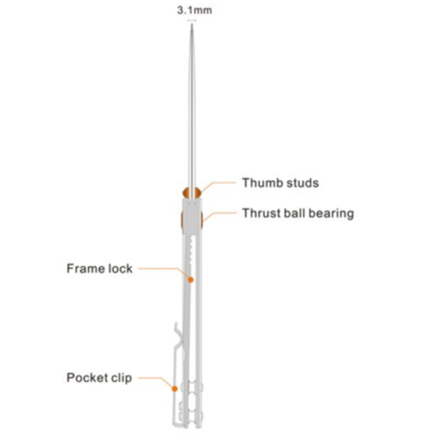 Bladebinge - RUIKE P801-SF - Super Slim Flipper - All Stainless (14C28N ...