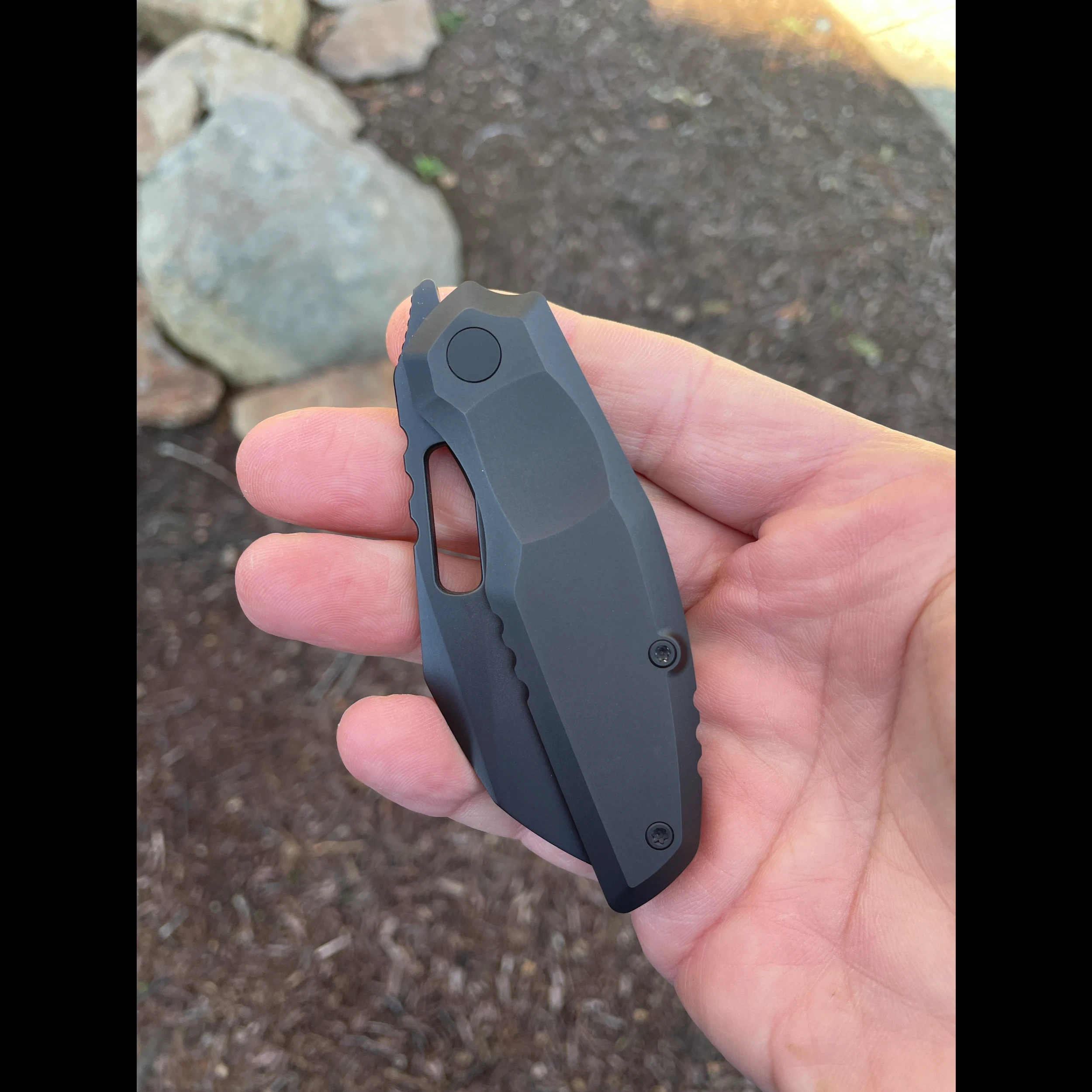 Bladebinge - Molsect Decay - DLC S90V and DLC Frame/Handle