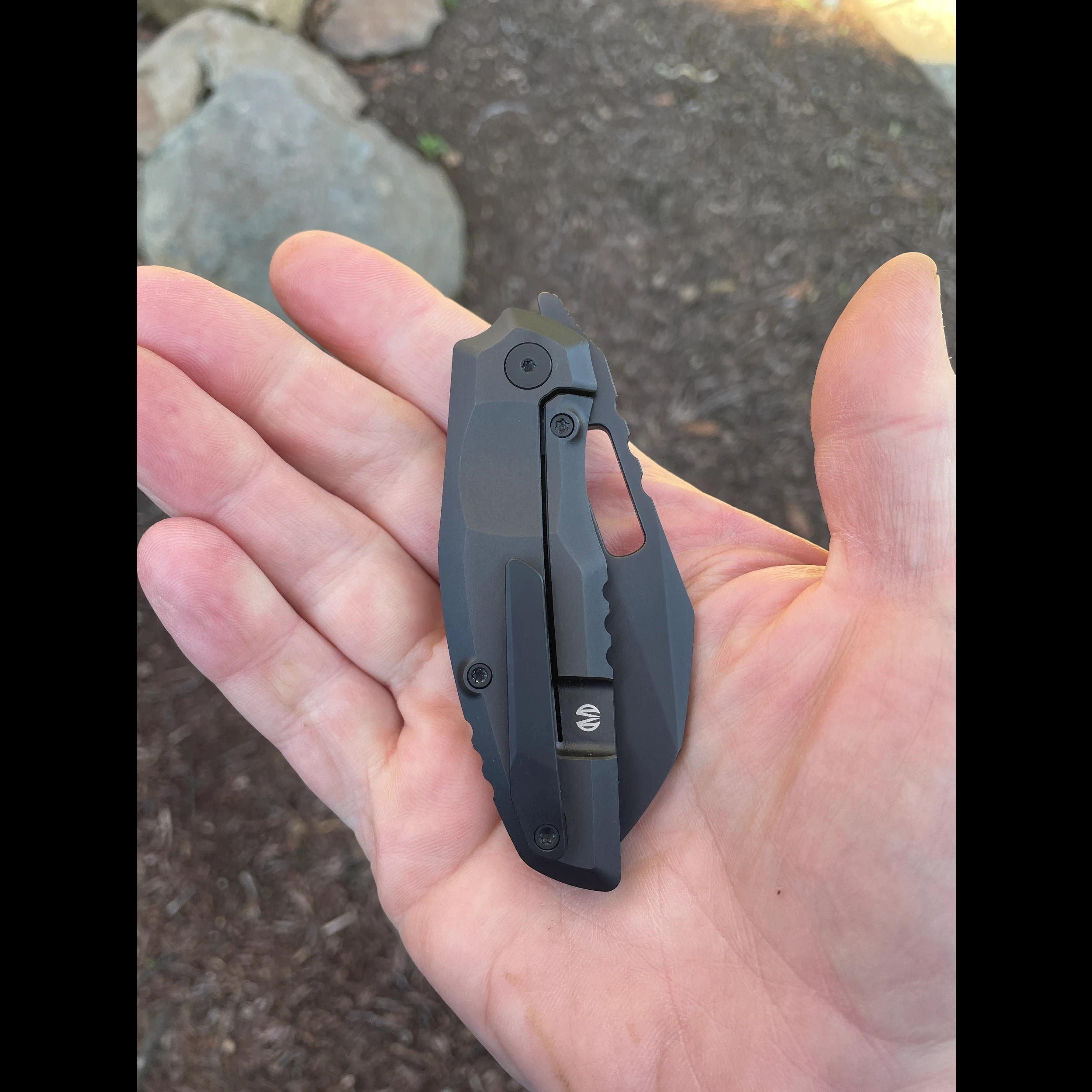 Bladebinge - Molsect Decay - DLC S90V and DLC Frame/Handle