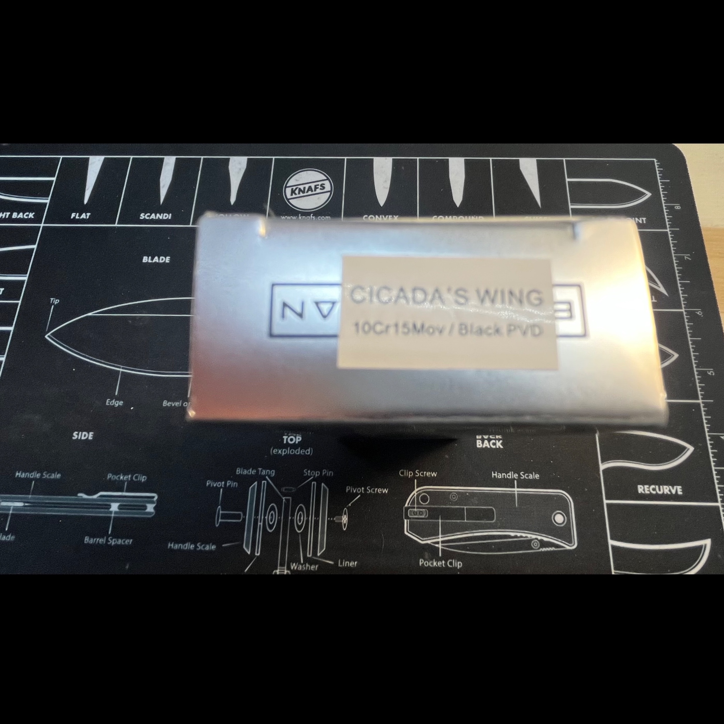 Bladebinge - Bestechman Cicadas Wing