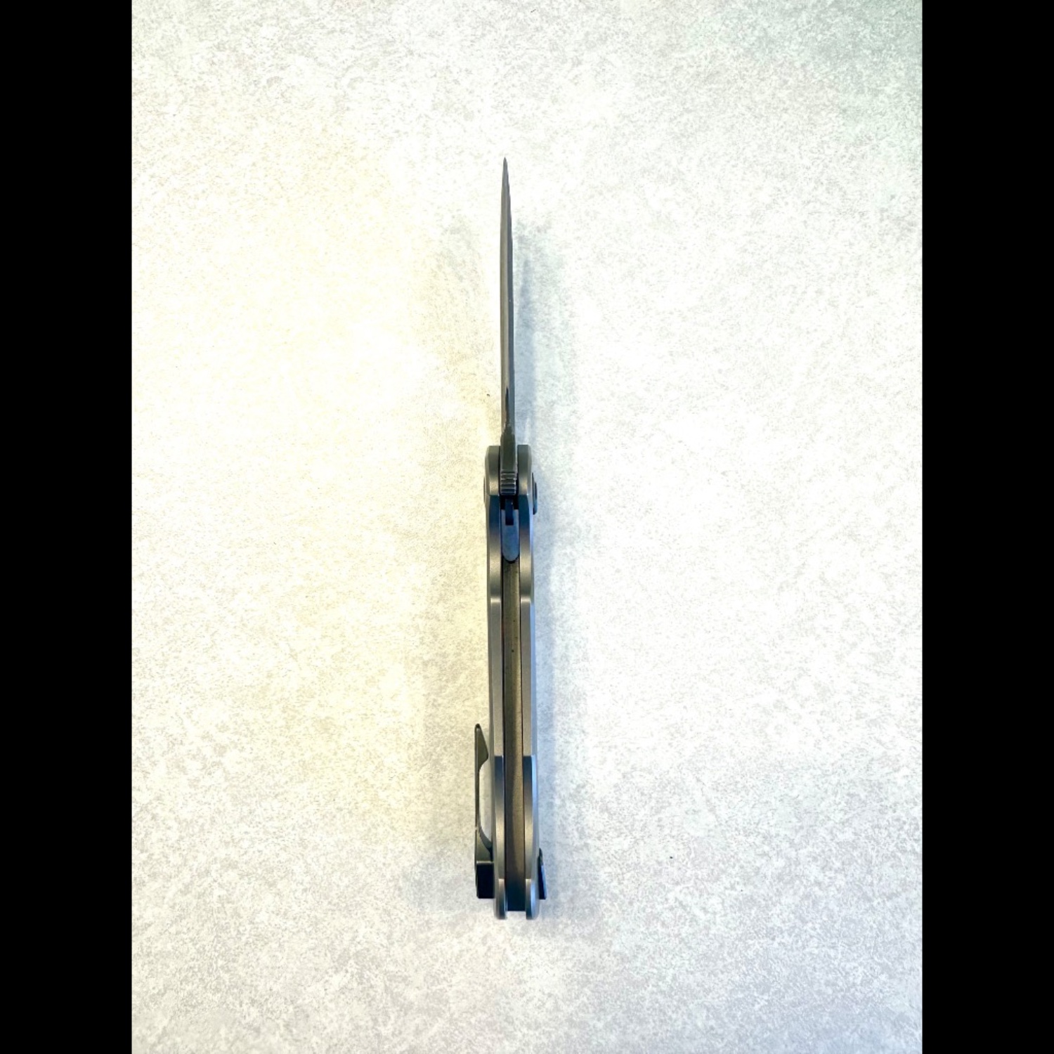 Bladebinge - **Price Drop**The Ridgeback by Dead Reckon