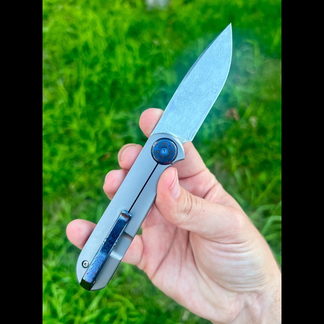 Bladebinge - Gareth Bull Shamwari