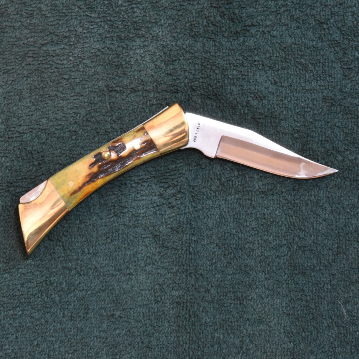 Bladebinge - Case Shark Tooth Knife