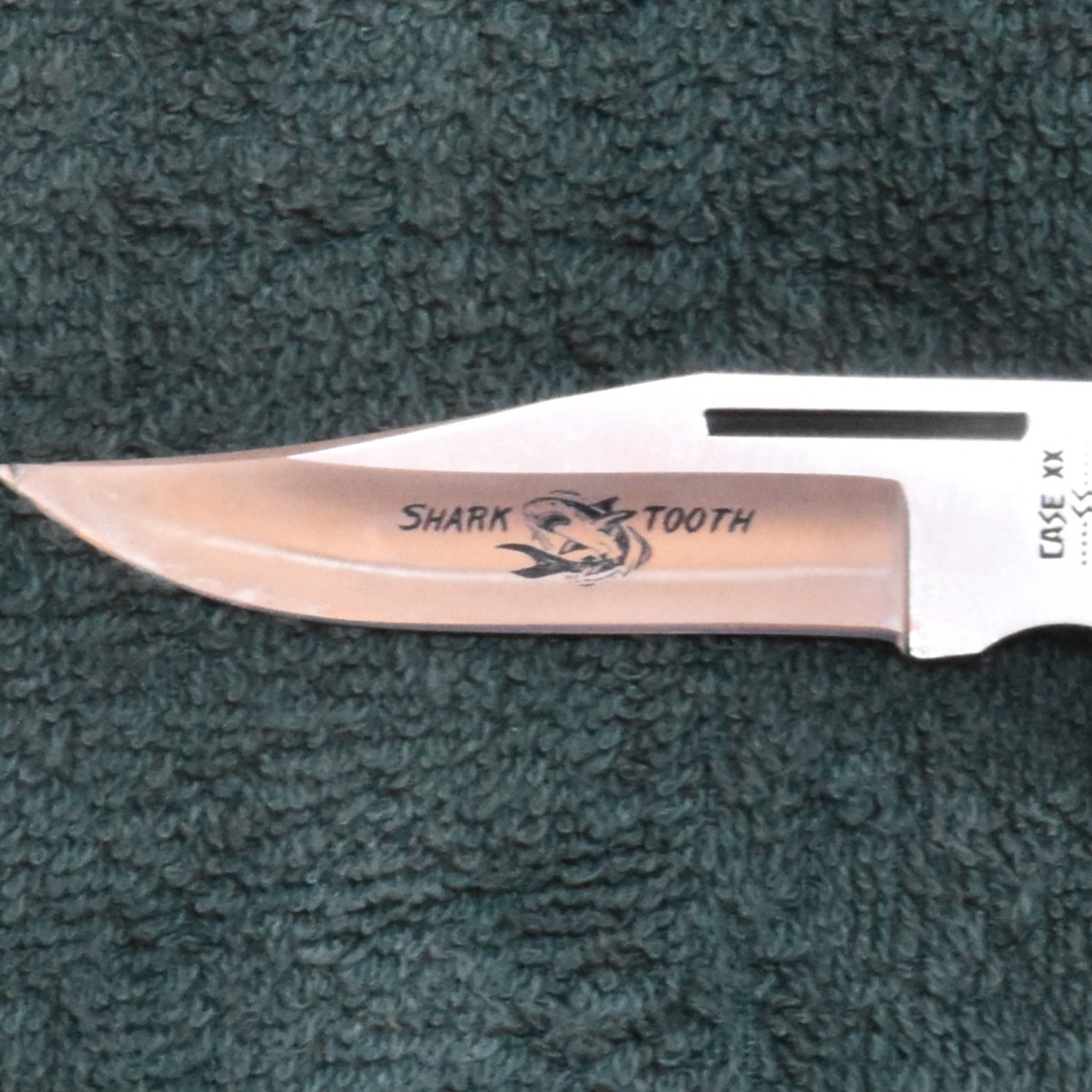 Bladebinge - Case Shark Tooth Knife