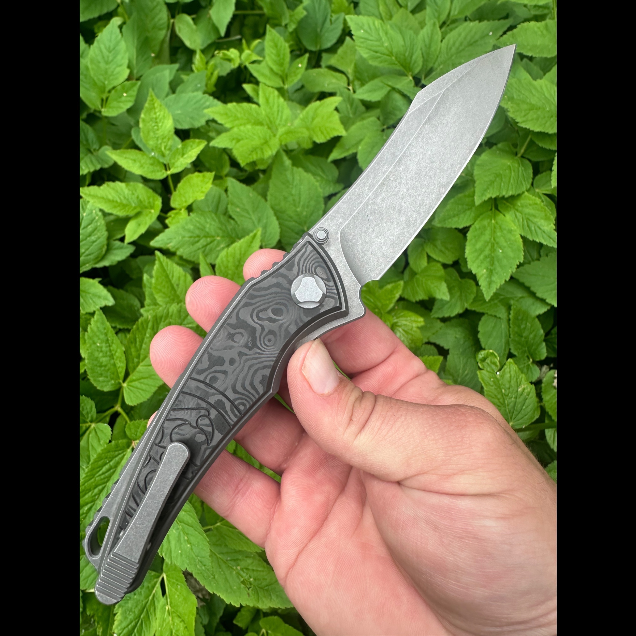 Bladebinge - Hawk Talon - New!! May 2025 DOB