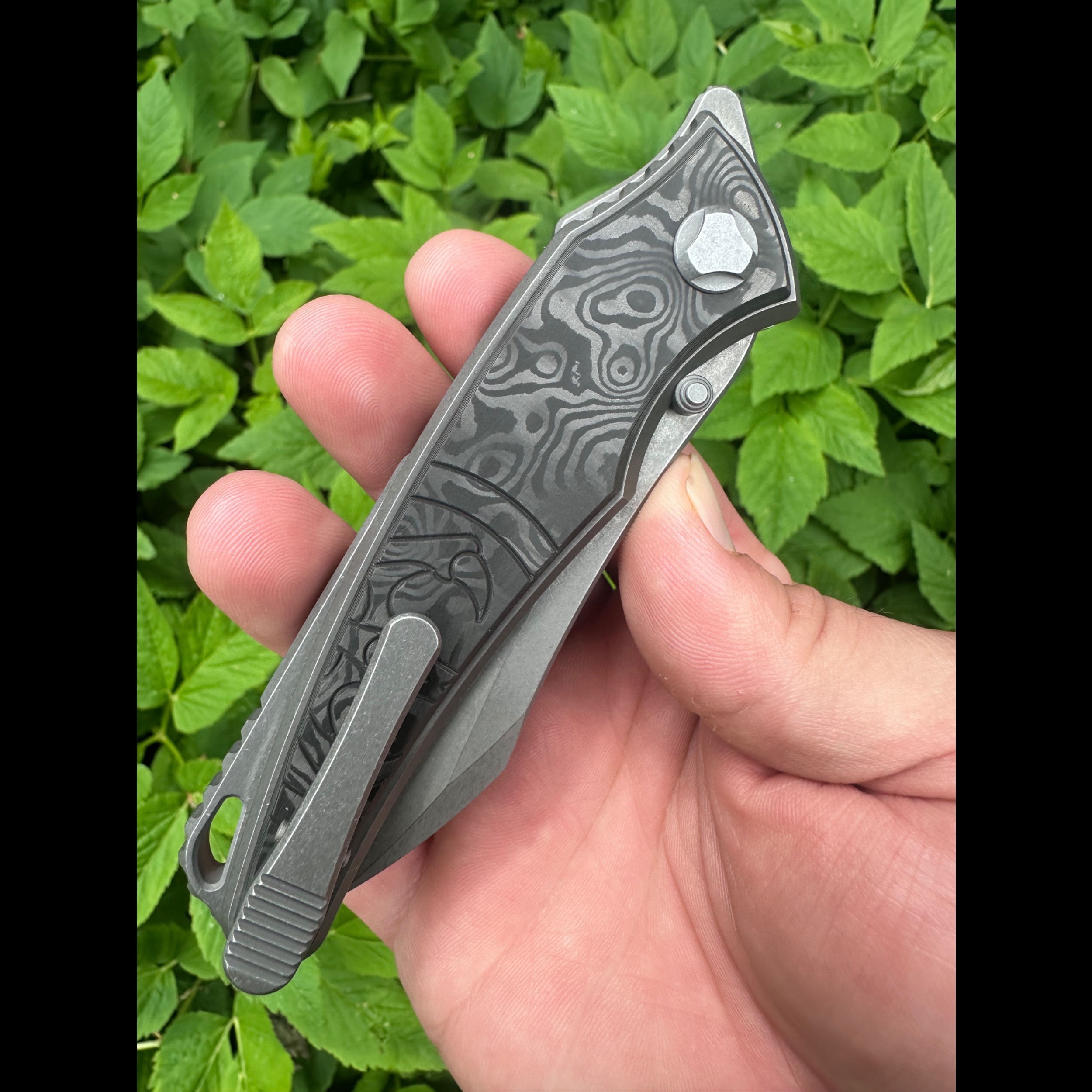 Bladebinge - Hawk Talon - New!! May 2025 DOB