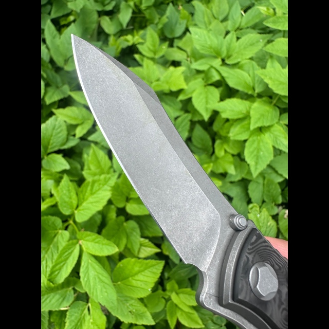 Bladebinge - Hawk Talon - New!! May 2025 DOB