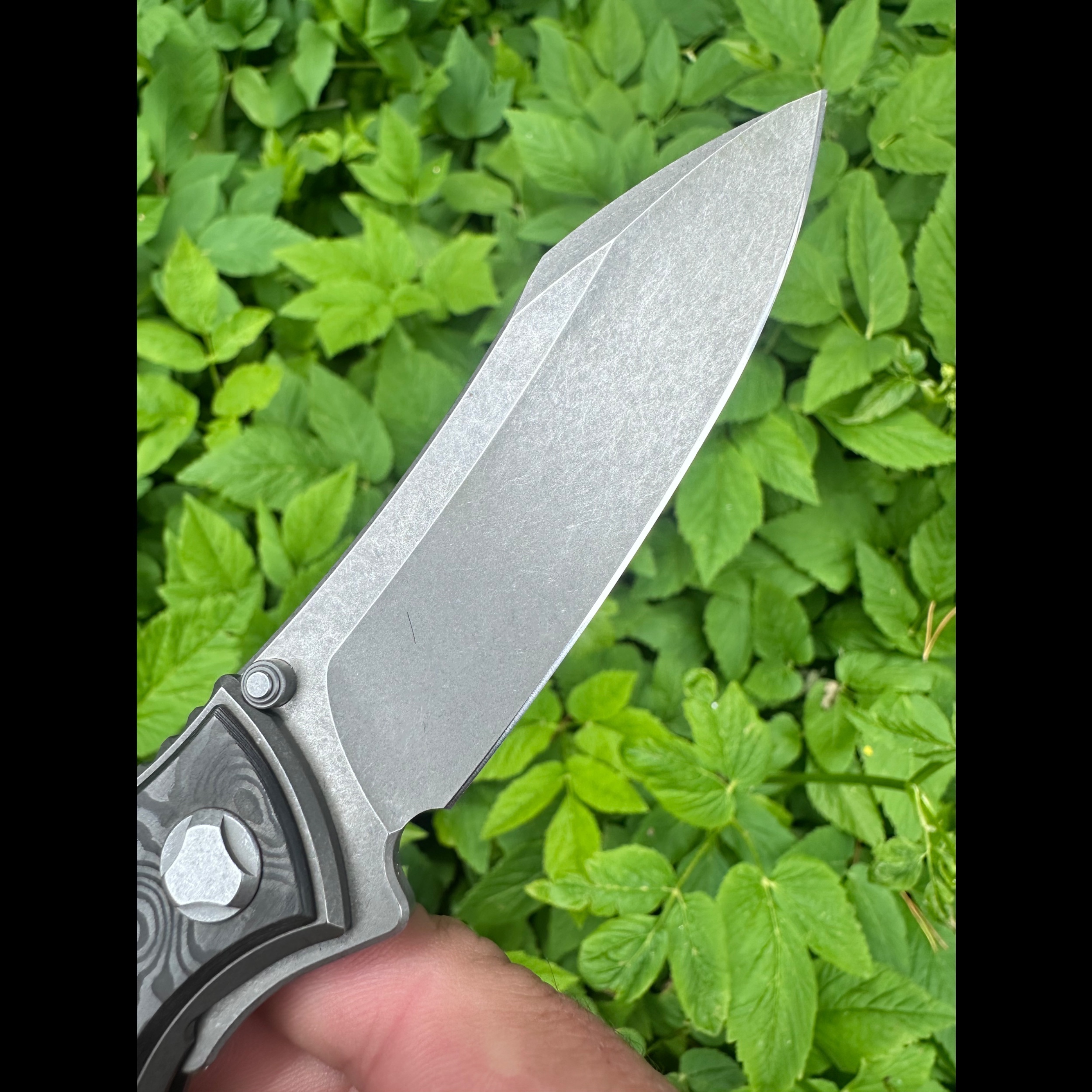 Bladebinge - Hawk Talon - New!! May 2025 DOB