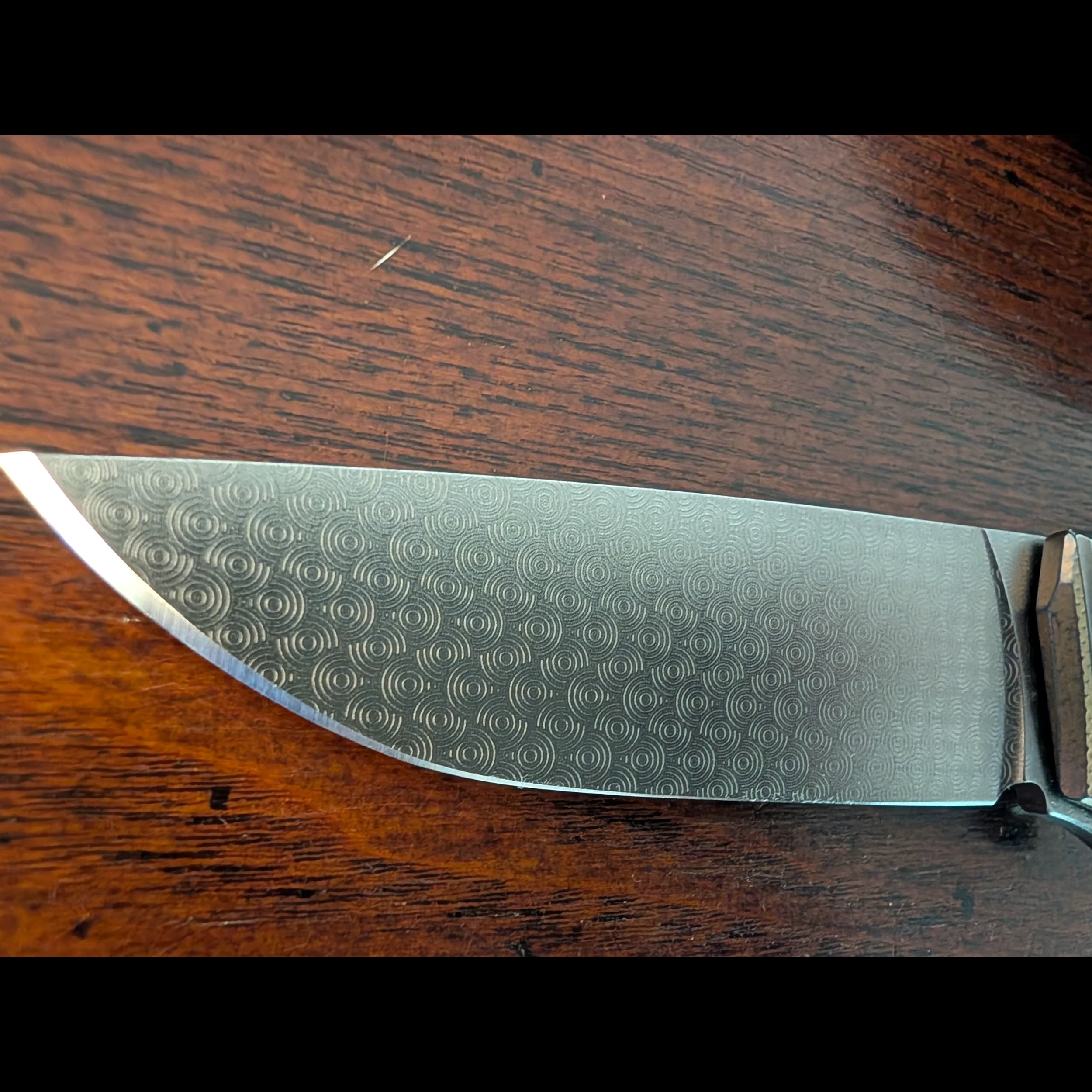 Bladebinge - Sonora with patterned blade! #641 CPM20V Many Circles ...