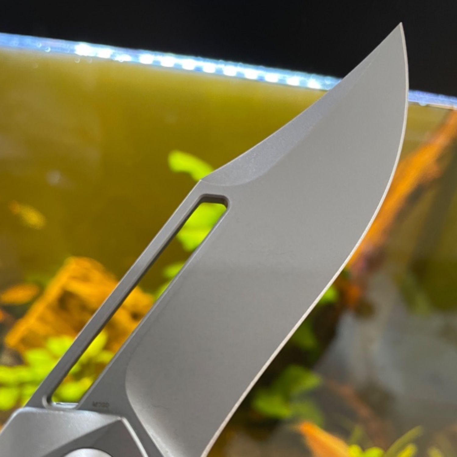 Bladebinge - A Purvis Blades Premordial Carbon Fiber M390 Knife