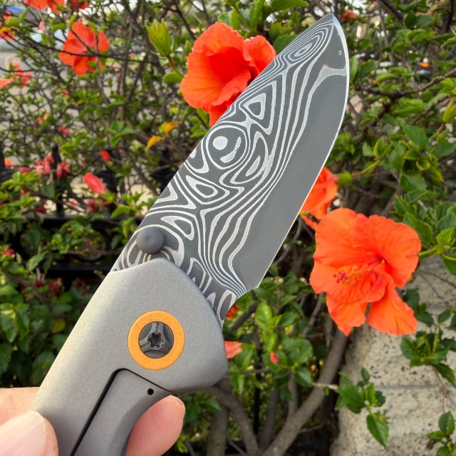 Bladebinge - 🔥🔥 David Freeman Knives Harley Damascus Blade Folder Westy ...