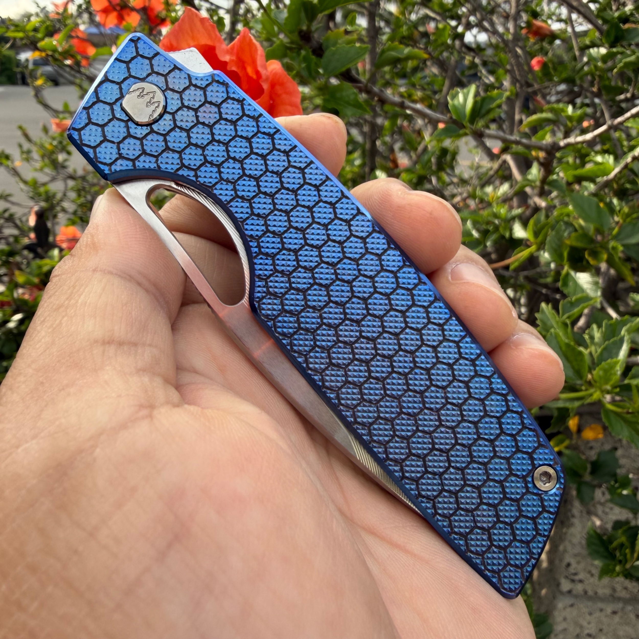 Bladebinge - 🔥🔥 Rob Johnson Cedar Knife Custom RWL34 Blue Honeycomb ...