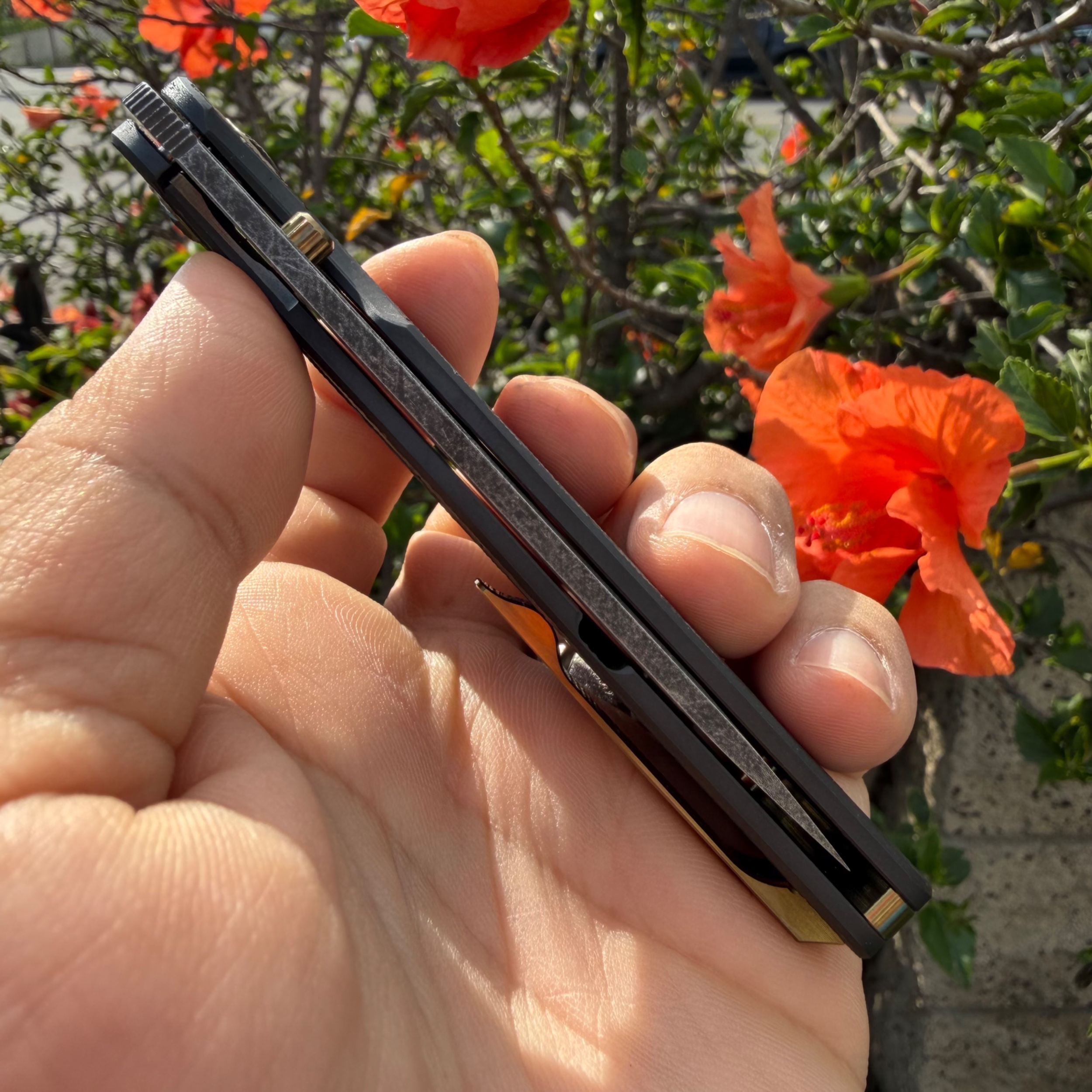 Bladebinge - 🔥🔥 Rob Johnson Cypress V3 Knife Salt Water Black Gold Acid ...