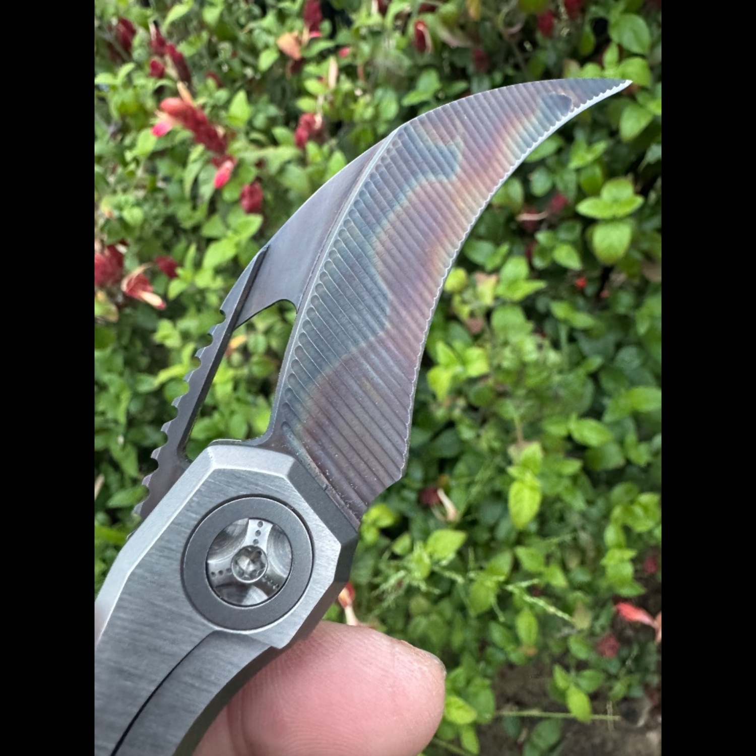 Bladebinge - 🔥🔥 Oden Mini Ripper Titanium Custom USA Knife Magnacut ...