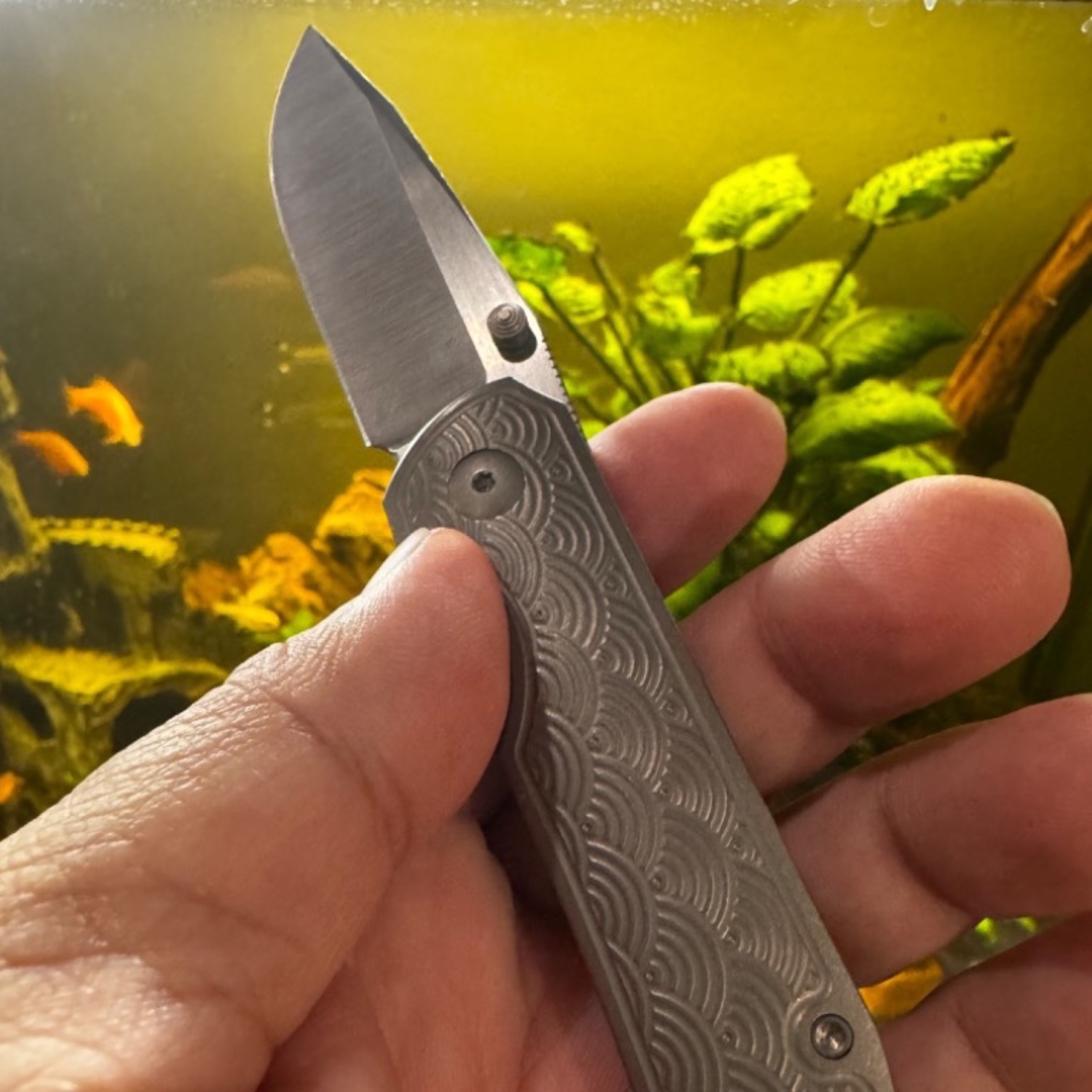 Bladebinge - URBAN EDC Micro Shrike Seigaiha Knife Titanium Knife Satin Blade M390 Folder