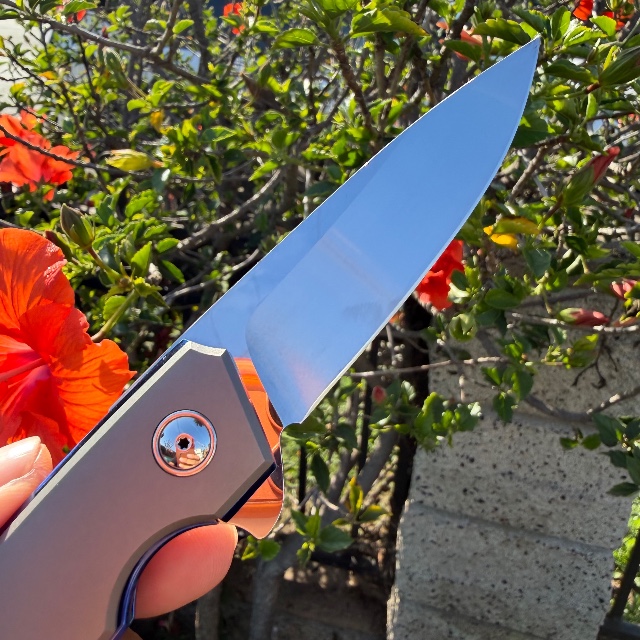 Bladebinge - 🌶️🌶️ Jaco De Kock Custom Titanium Knife NS RWL34 Blade ...