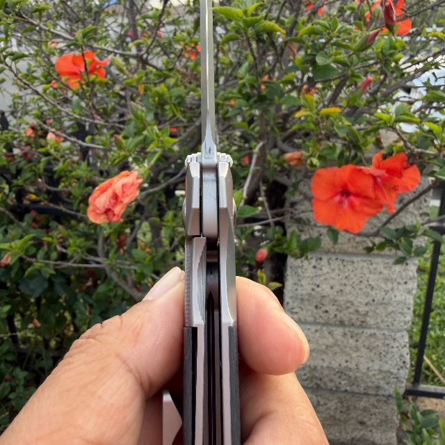 Bladebinge - 🔥🔥 Terrain 365 Invictus Folding Knife 3.5" Terravantium ...