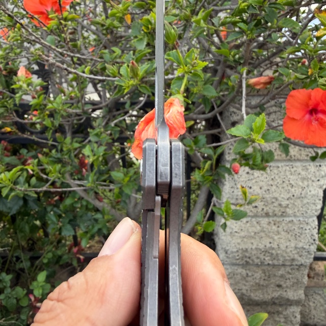 Bladebinge - 🌶️🌶️ Rob Johnson Cedar Knife Honeycomb Titanium Vanax Acid ...