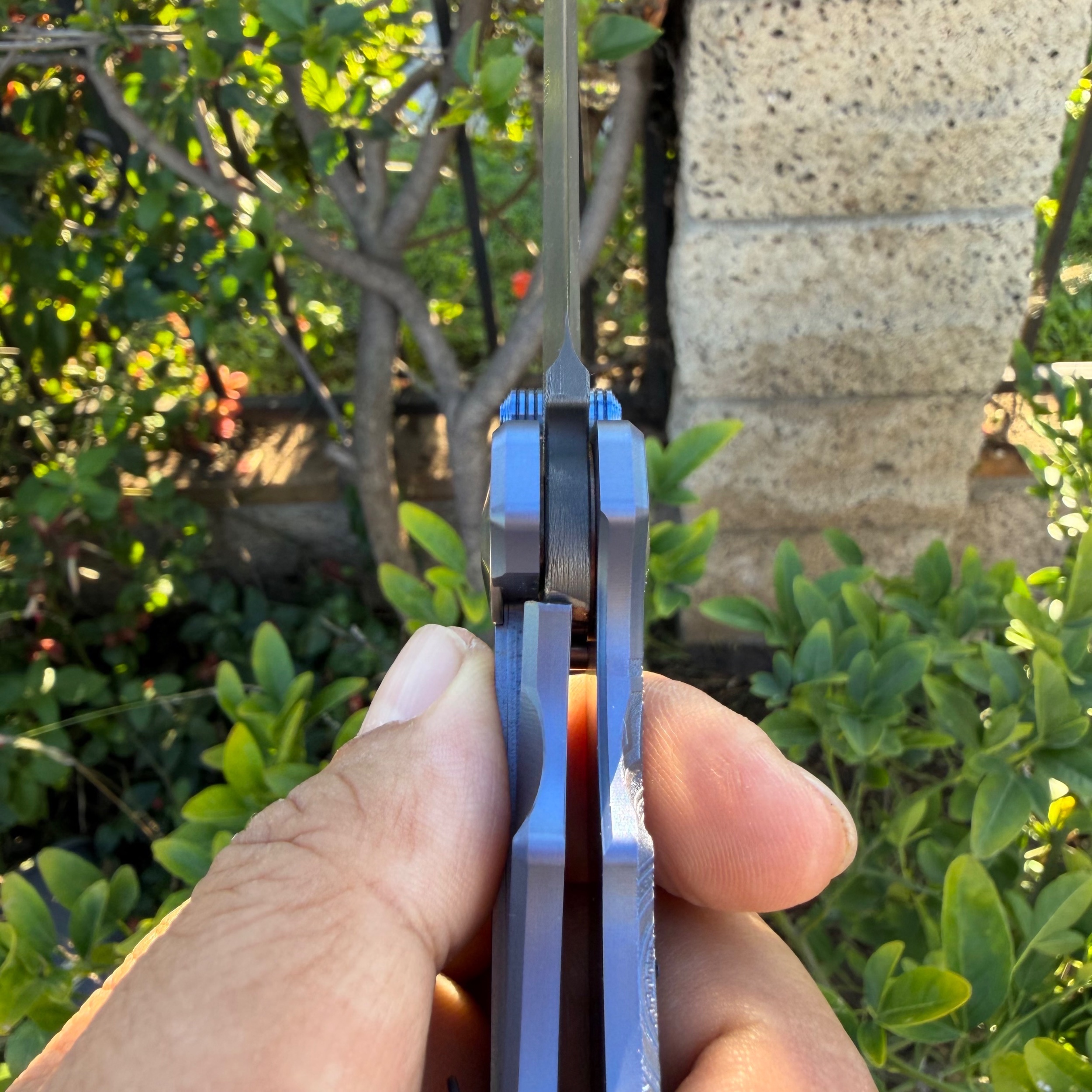 Bladebinge - 🔥🔥 Spartan Blades Harsey Custom Knife - 4" Spartan Shield ...