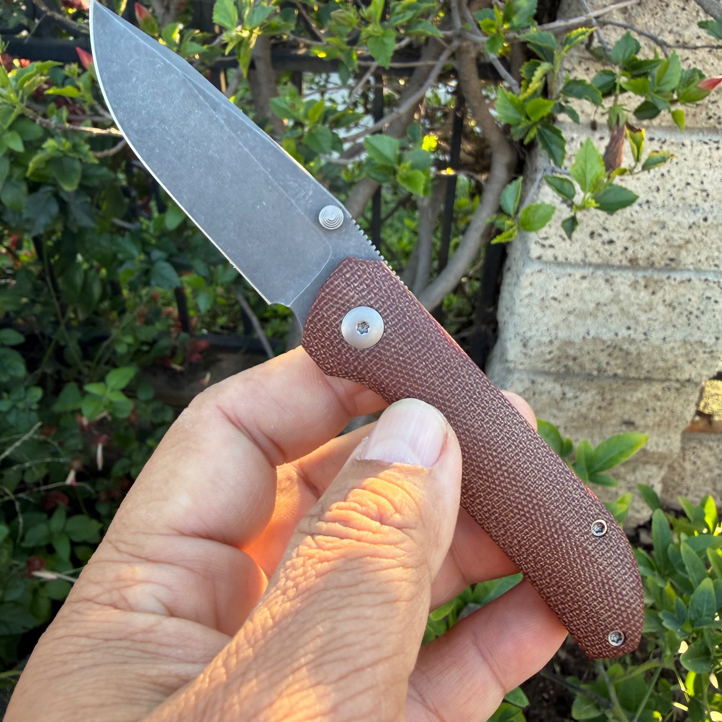 Bladebinge - 🔥🔥 Urban EDC Micro Shrike Knife Folder Brown Micarta M390 ...