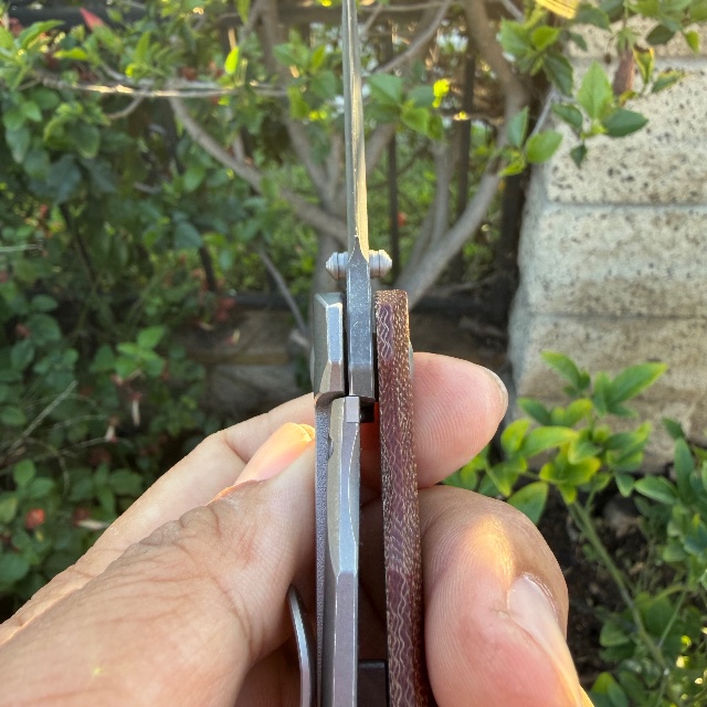 Bladebinge - 🔥🔥 Urban EDC Micro Shrike Knife Folder Brown Micarta M390 ...