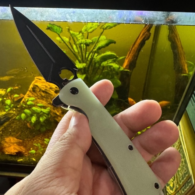 Bladebinge - Daggerr Arrow Jade G10 Knife Black Blade