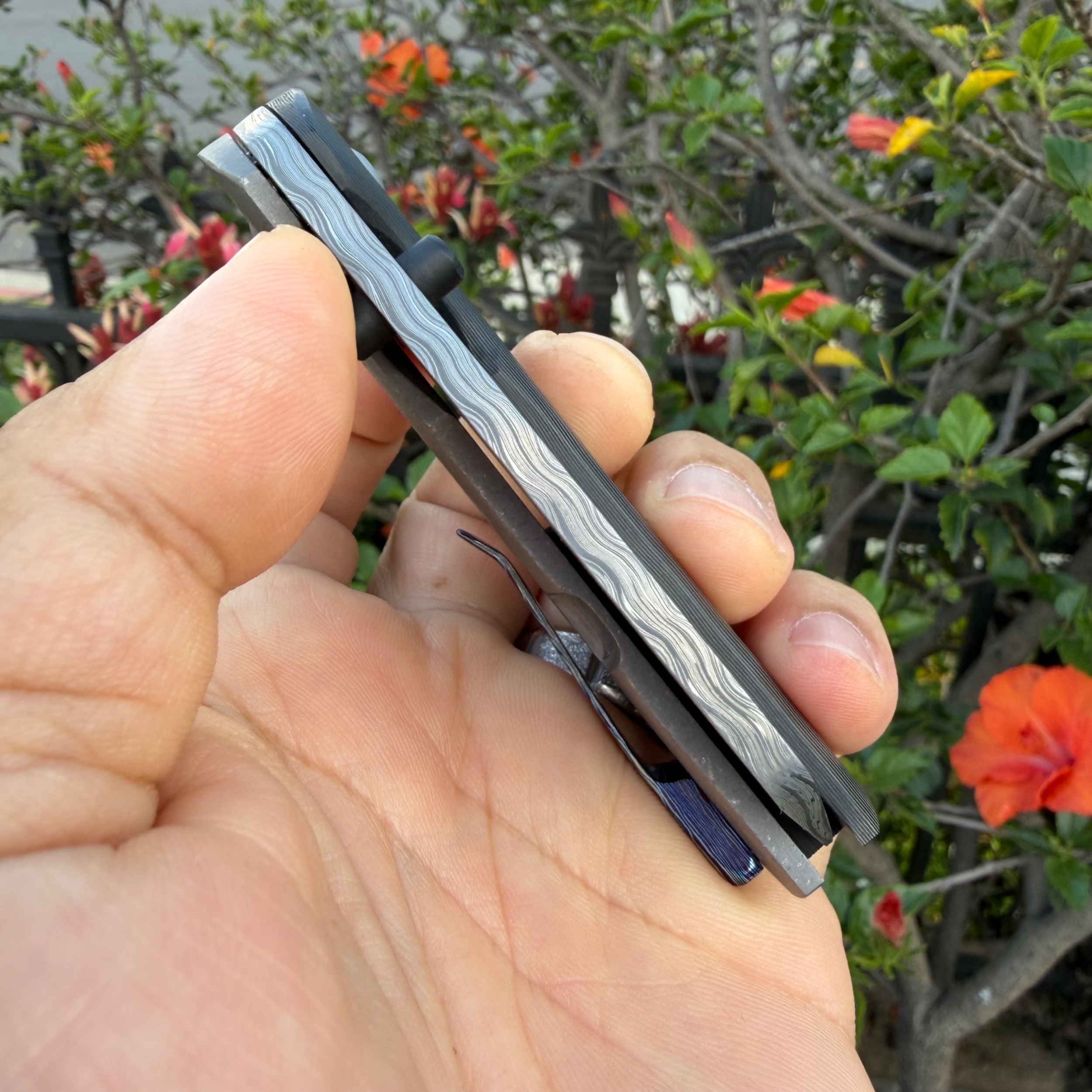 Bladebinge - 🔥🔥 David Freeman Knives Mini Harley Carbon Fiber Norris ...