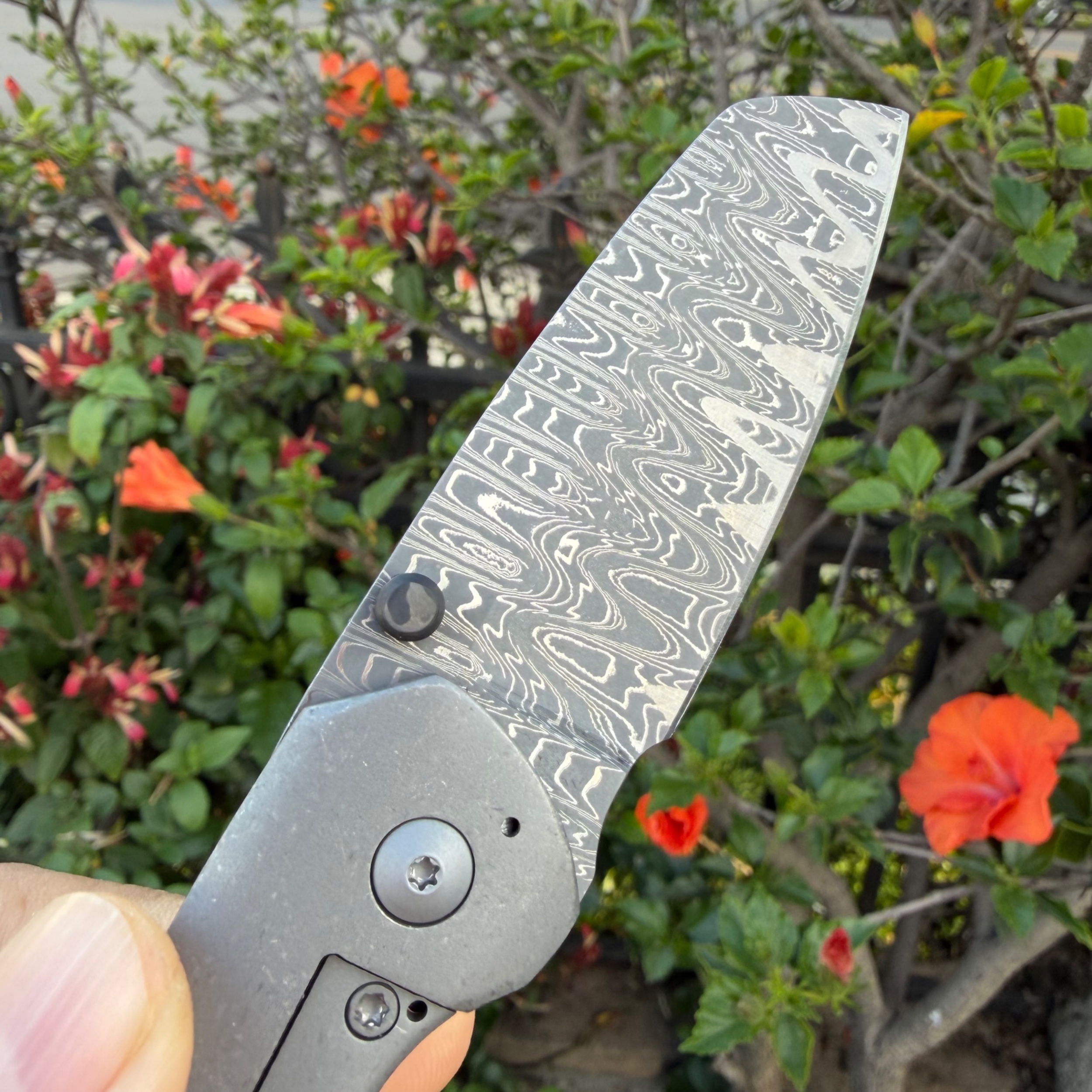 Bladebinge - 🔥🔥 David Freeman Knives Mini Harley Carbon Fiber Norris ...