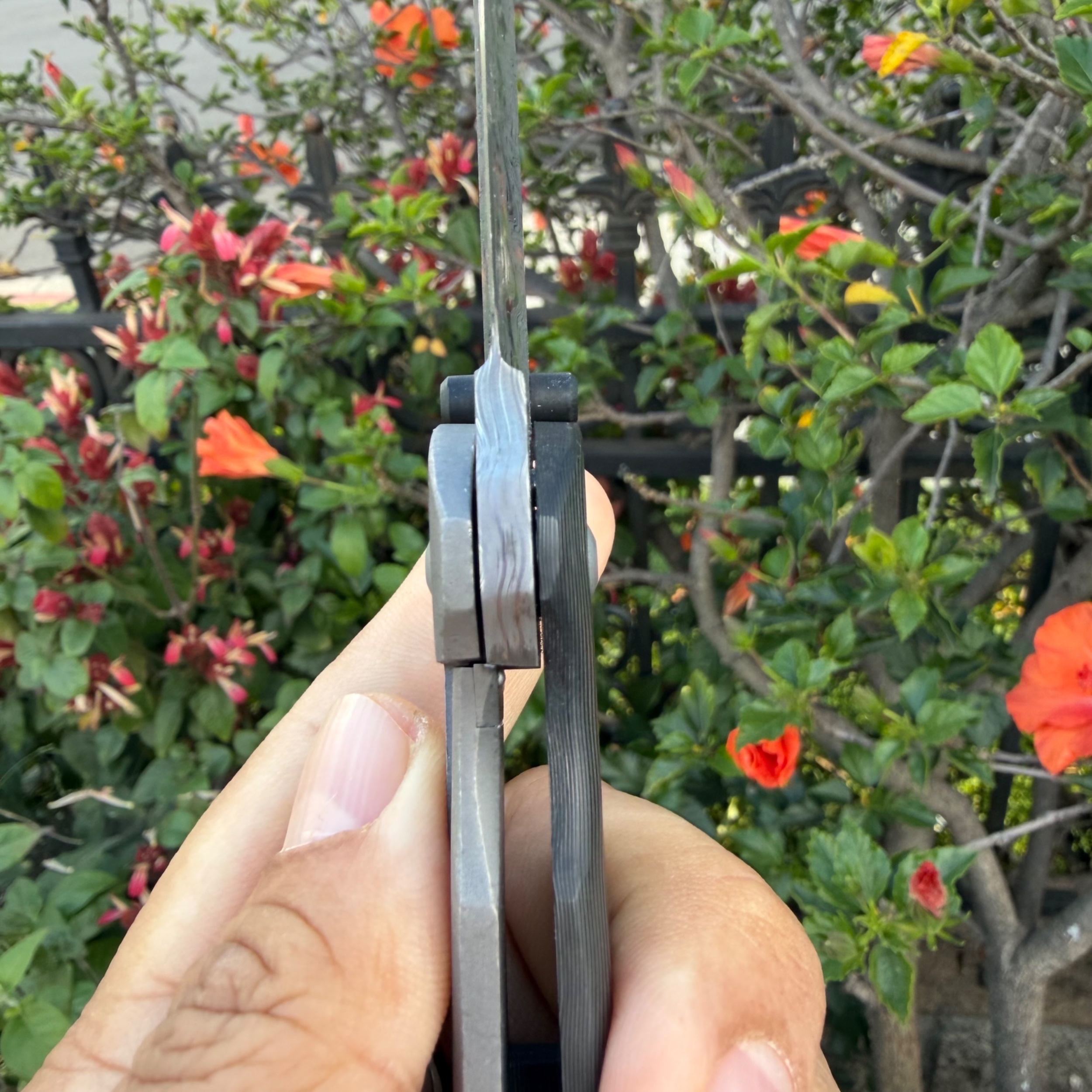 Bladebinge - 🔥🔥 David Freeman Knives Mini Harley Carbon Fiber Norris ...