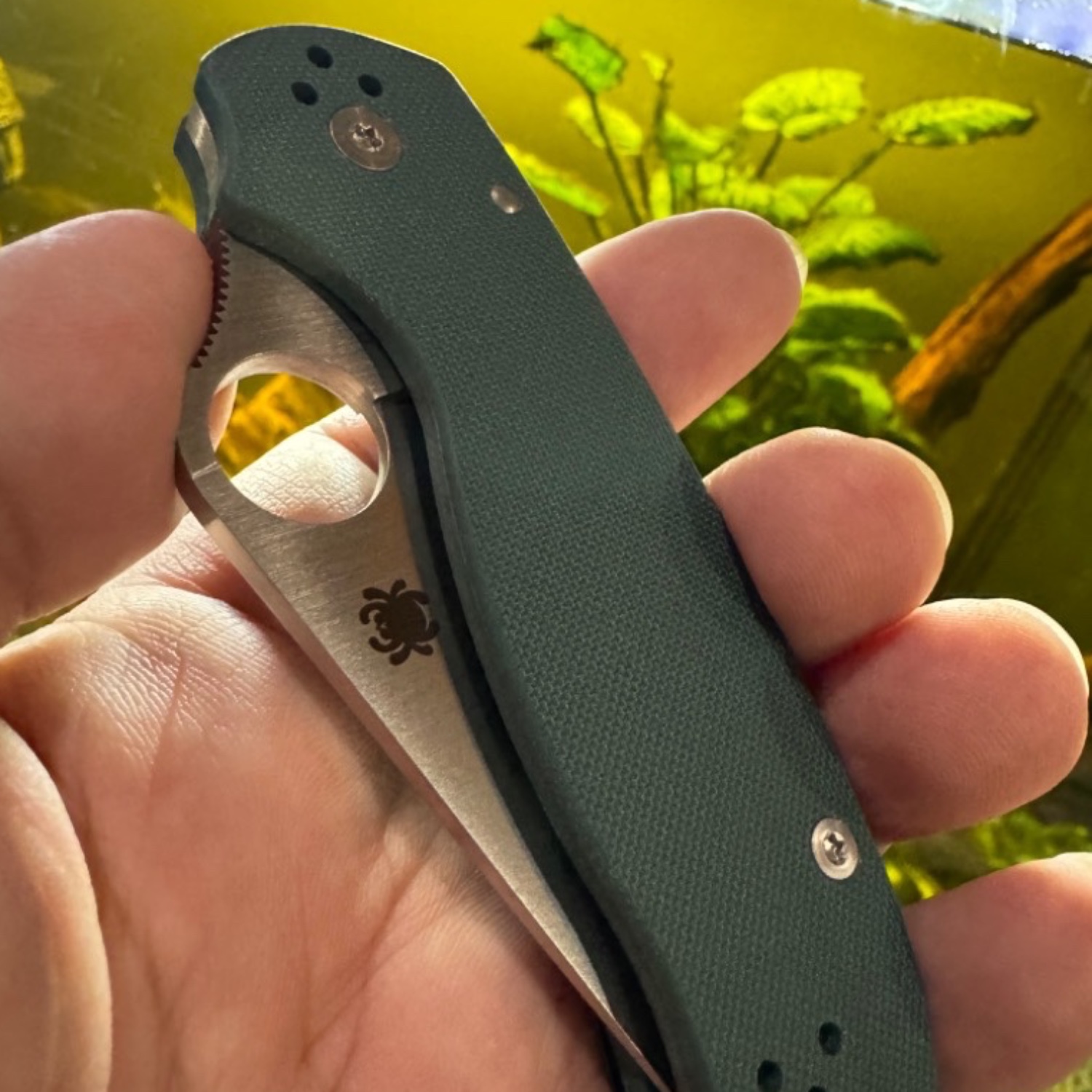 Bladebinge - Spyderco Para 3 CTS 204 Forest Green G-10 Pocket Knife ...