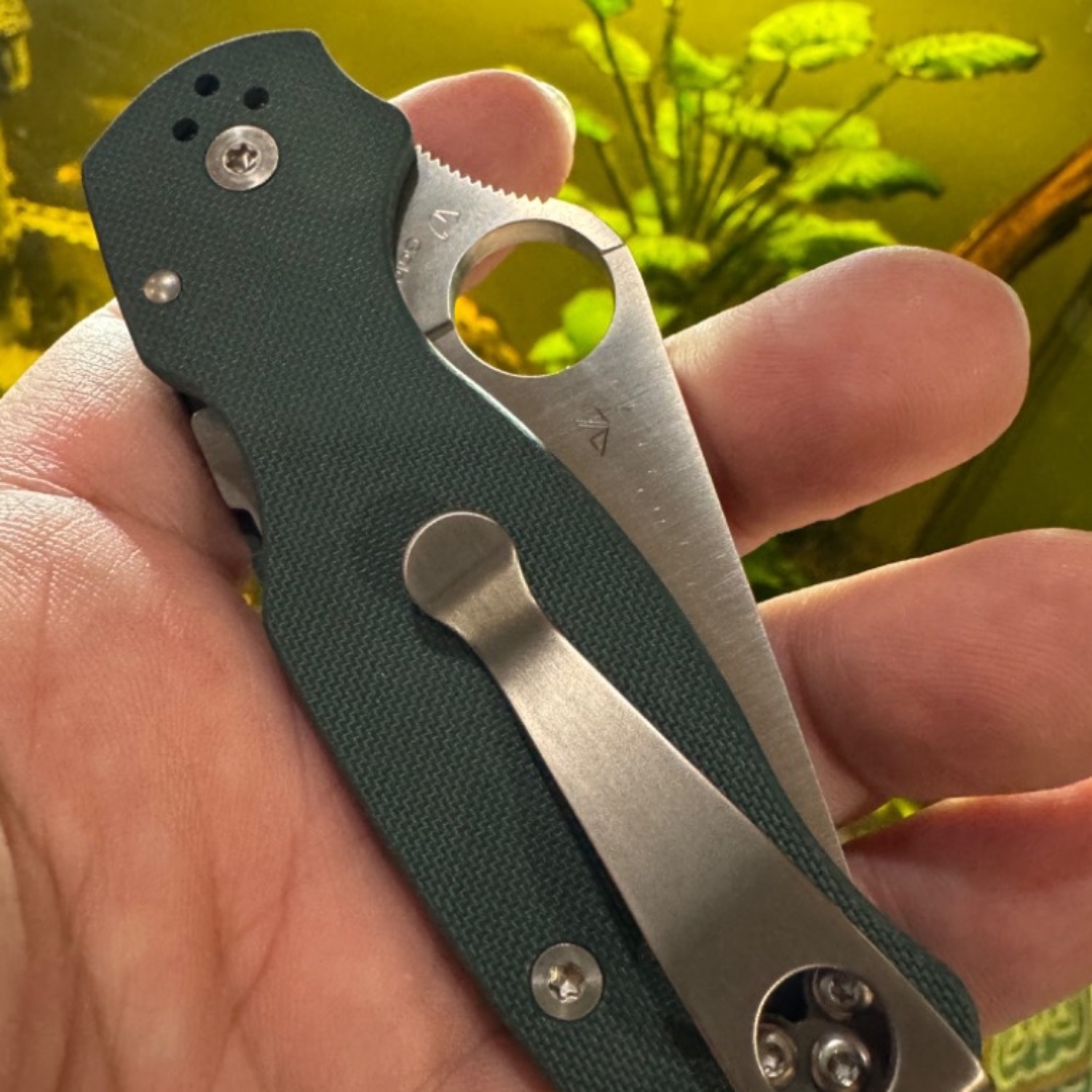 Bladebinge - Spyderco Para 3 CTS 204 Forest Green G-10 Pocket Knife ...
