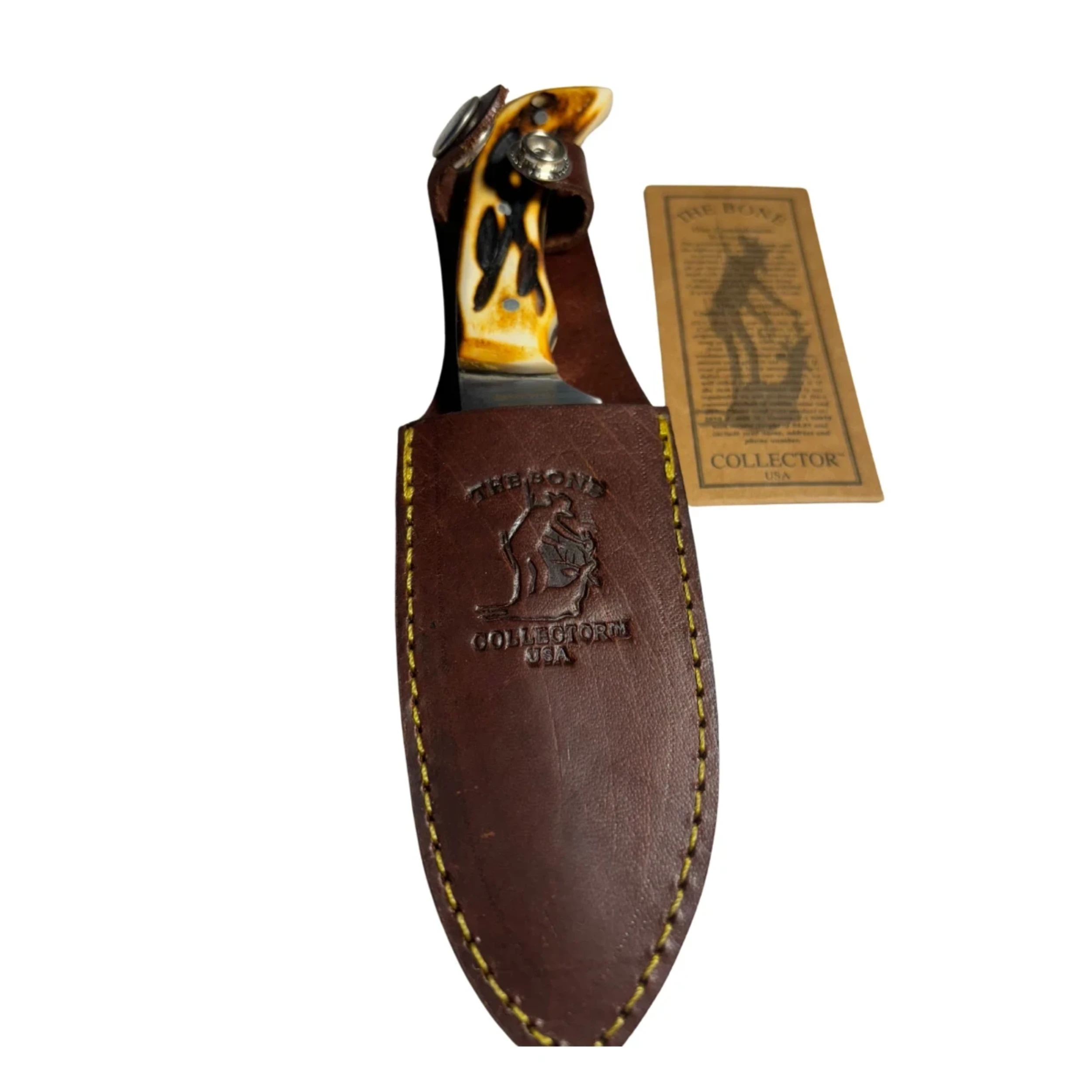 Bladebinge - Bone Collector Hunting Knife with Gut Hook – BC803 Stag ...