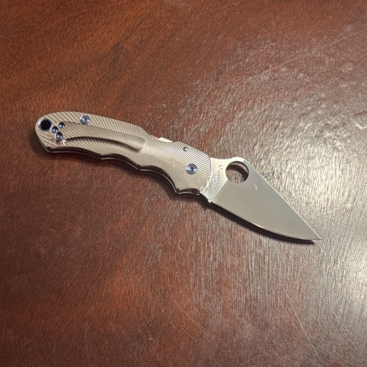 Bladebinge - Para 3 with RV custom metalworks scales