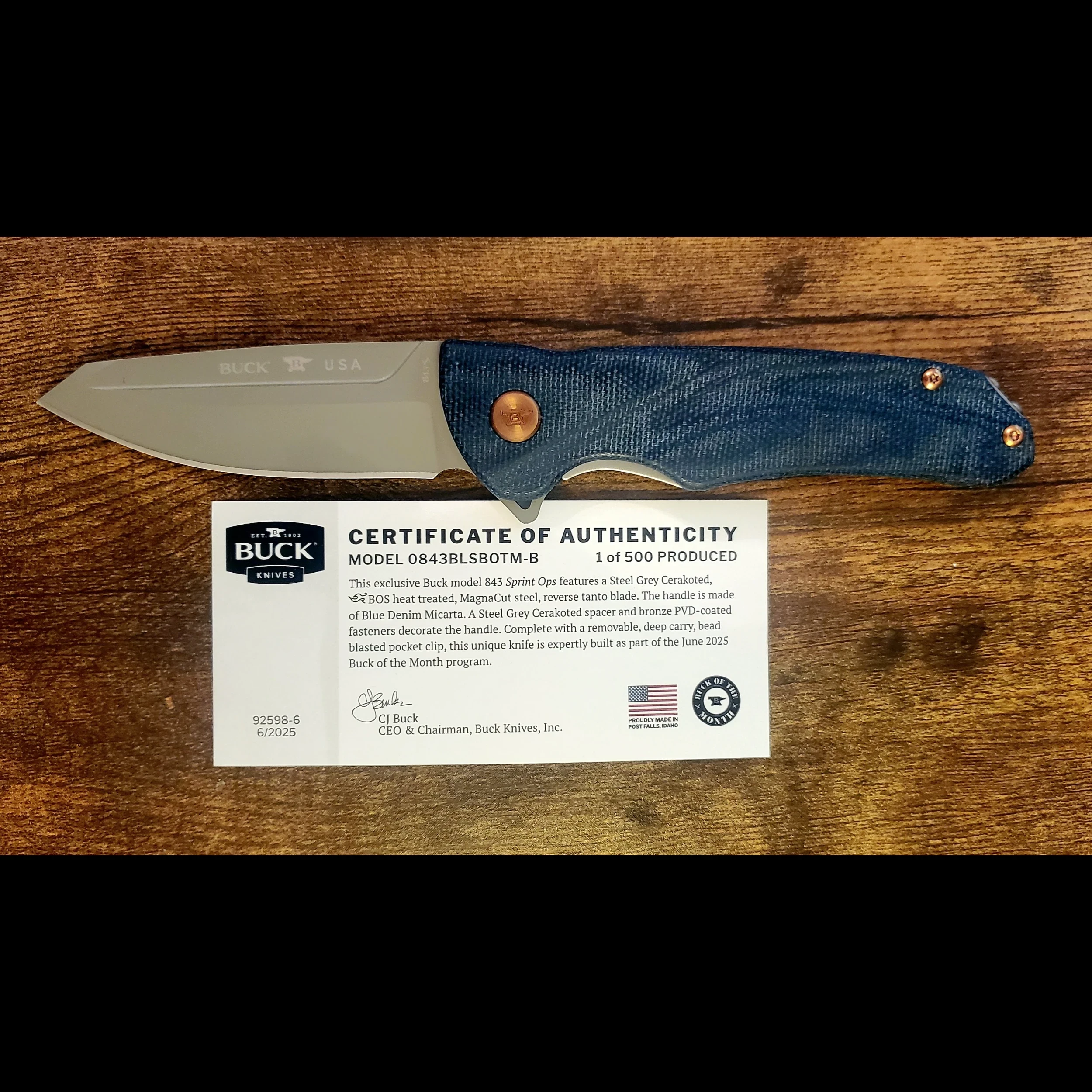 Bladebinge - Buck 843 Sprint Ops - June 2025 Bulk of the Month Knife