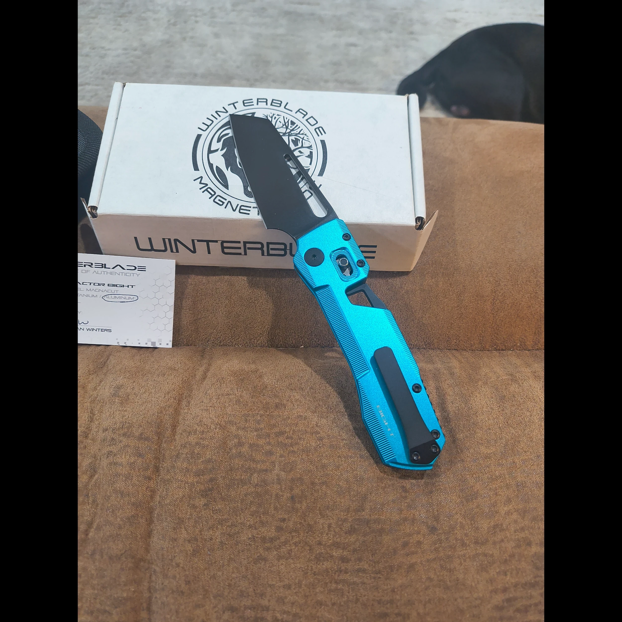 Bladebinge - Winterblade Co Factor 8ight