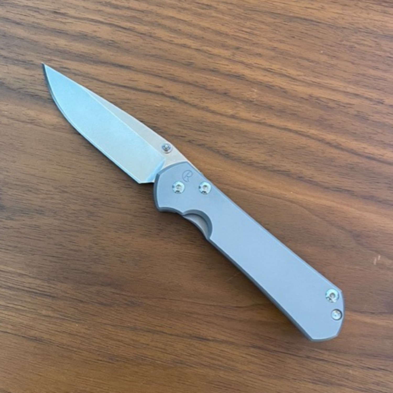 Bladebinge - Chris Reeve Small Sebenza 31, glass blasted, double lug, S45VN