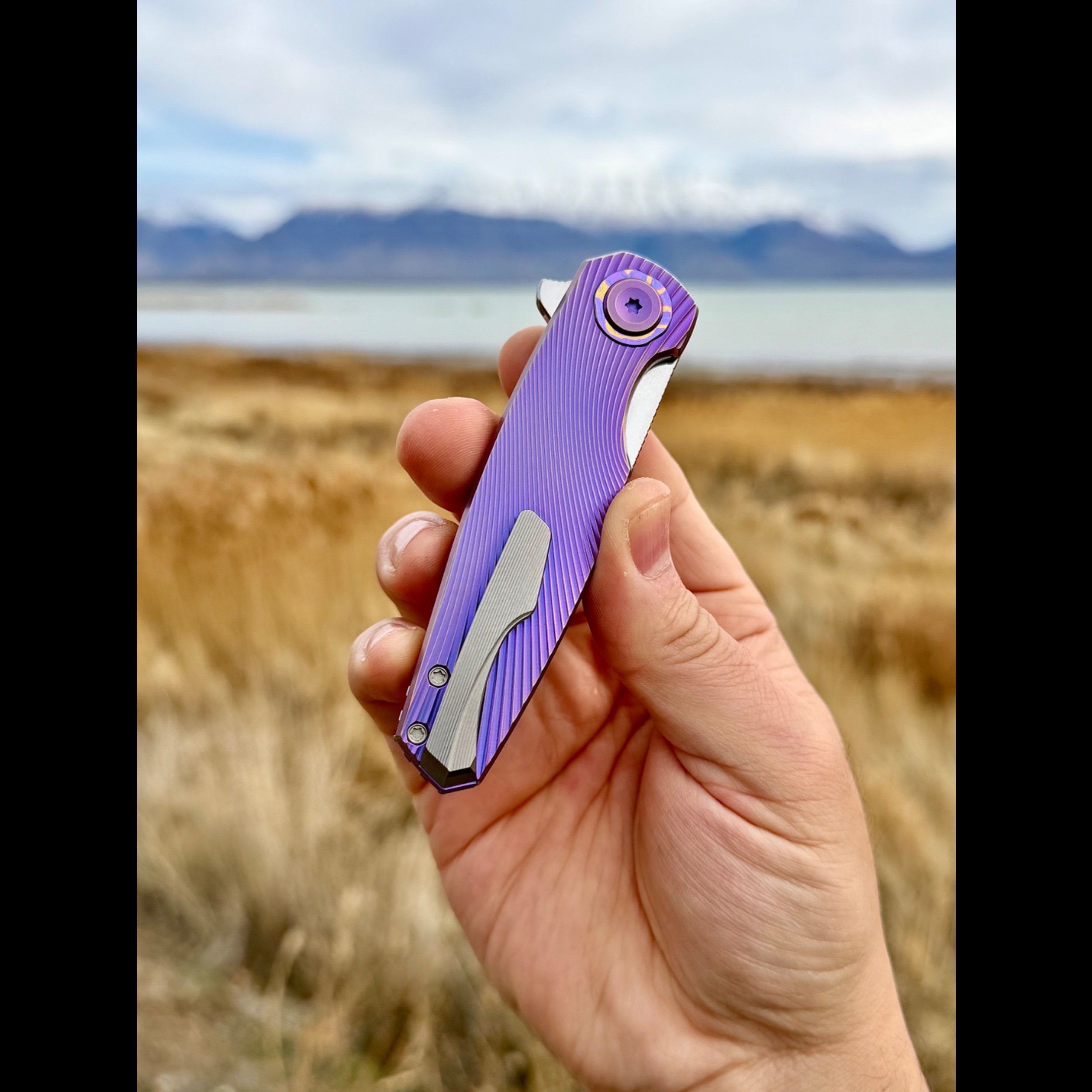 Bladebinge - Holt Morpheus zirconium pivots Blurple