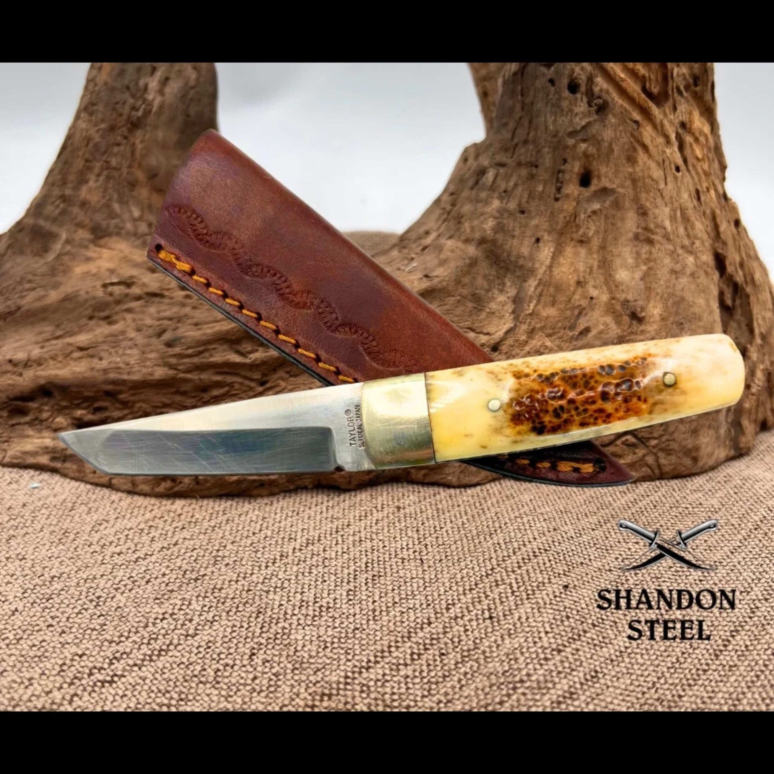 Bladebinge - Taylor Japan Tanto Fixed Blade Bone Handle Fixed Blade ...